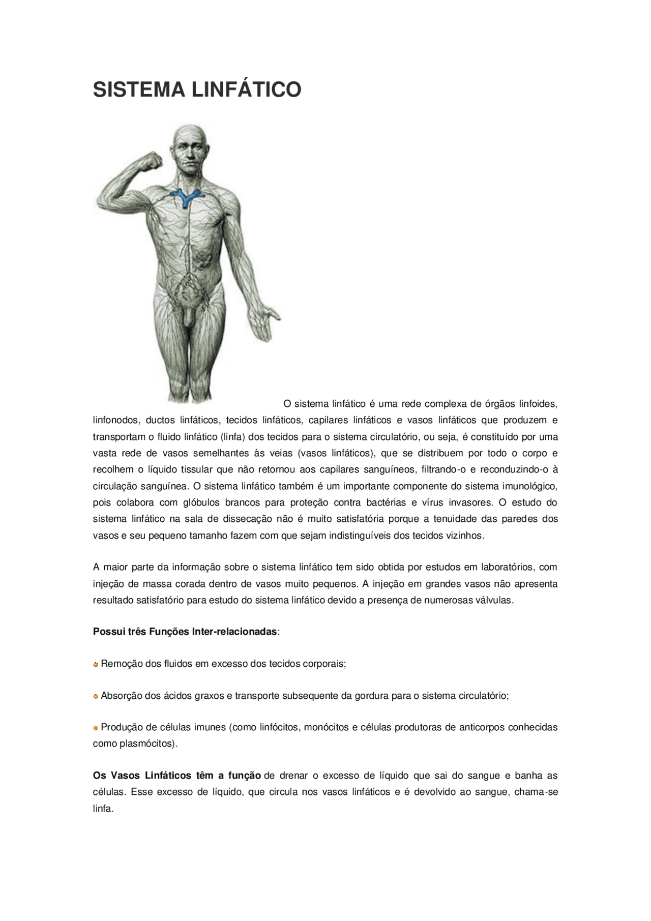 Sistema LinfÁtico Slides Anatomia Docsity