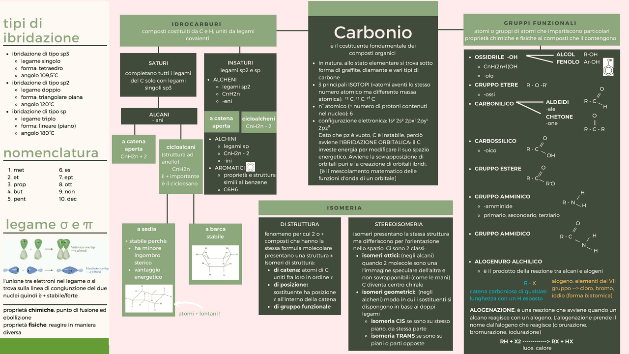 Mappa concettuale su carbonio, idrocarburi, gruppi funzionali, isomeria ...
