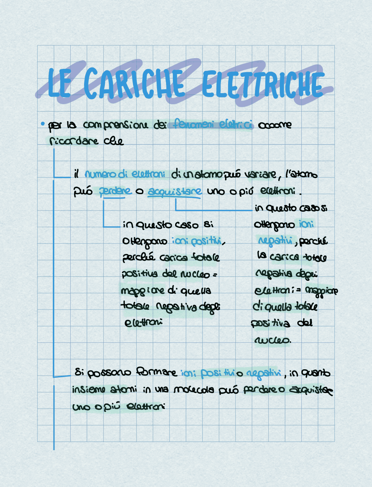 Appunti sulle cariche elettriche - Fisica | Appunti di Fisica | Docsity