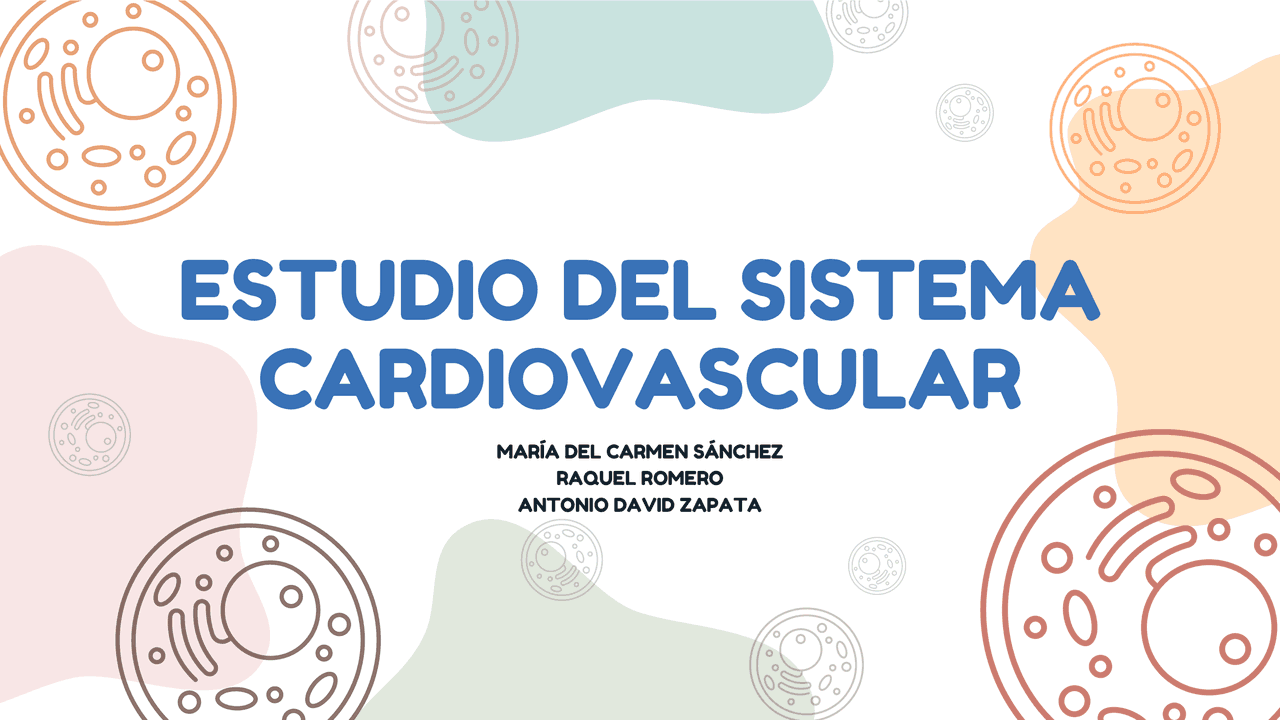 Sistema Cardiovascular Diapositivas De Biología Humana Docsity
