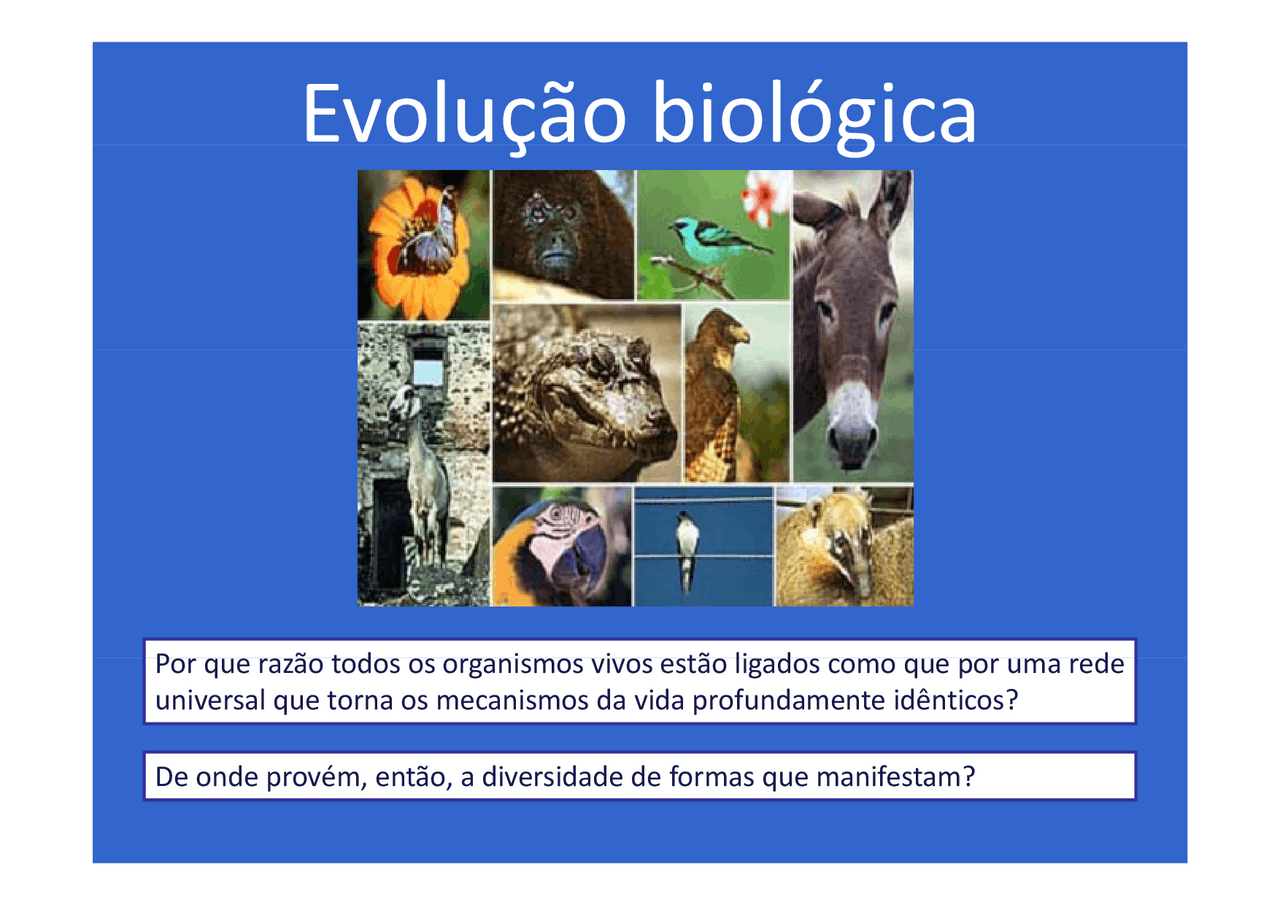 Evolução Biológica ç G Provas Evolução Docsity