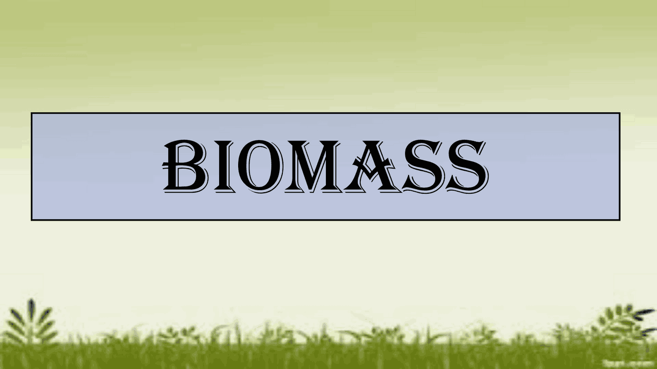 Biomass Summarization Cheat Sheet Earth Science Docsity