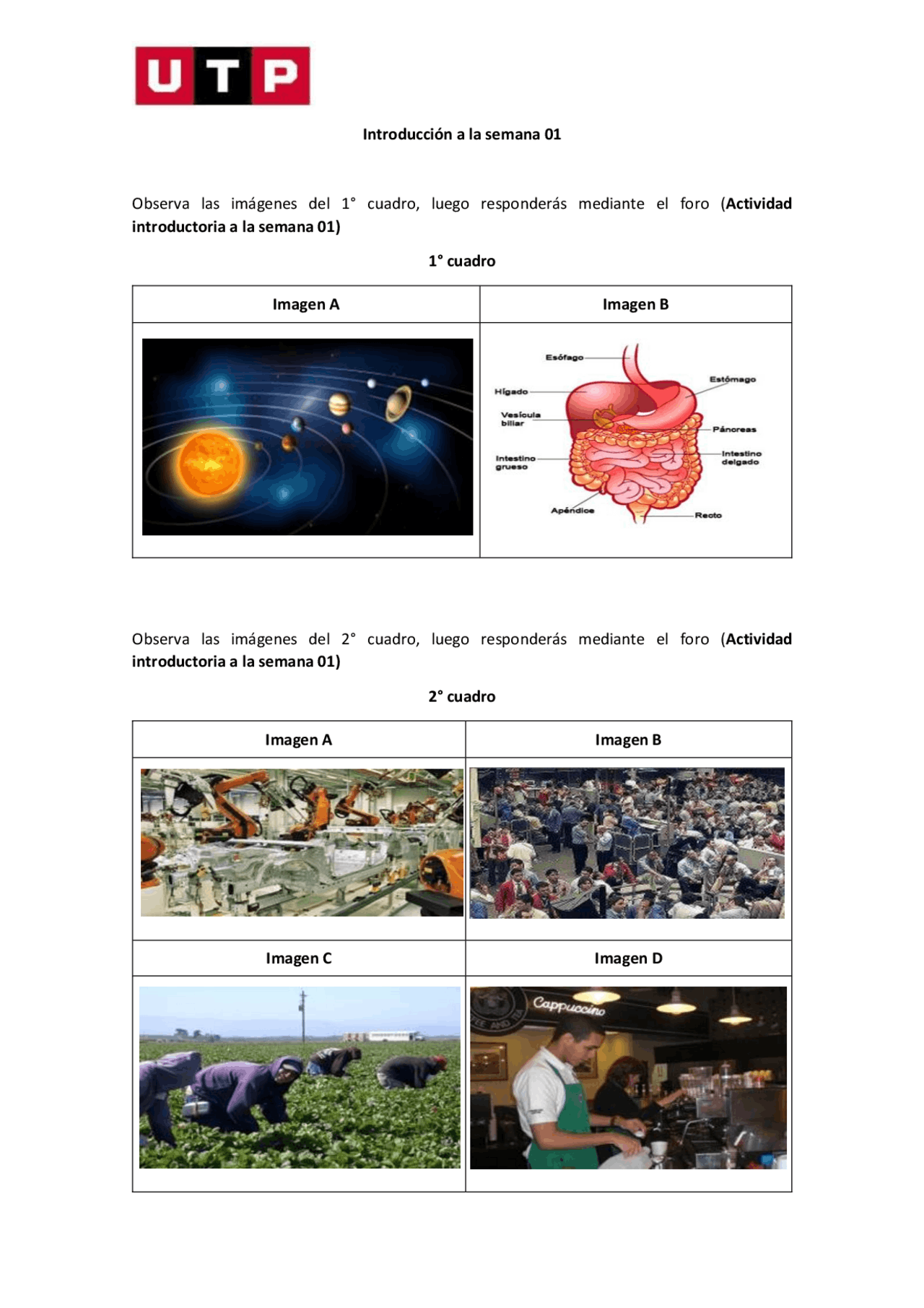 Teoria Ejercicios Y Conceptos Ejercicios De Biología Humana Docsity
