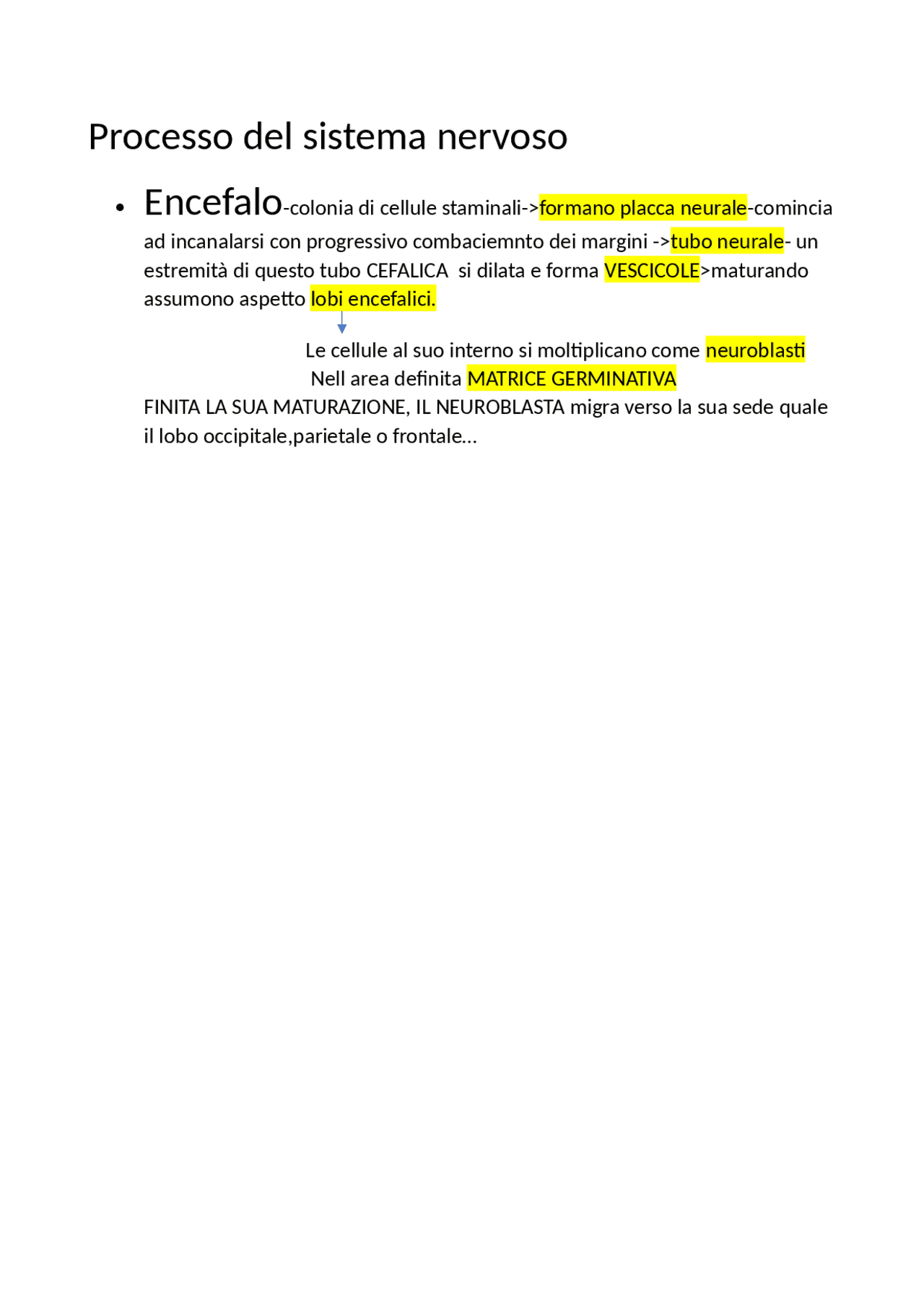 Sistema Nervoso Riassunto Piccolo Lecture Notes Materials Science