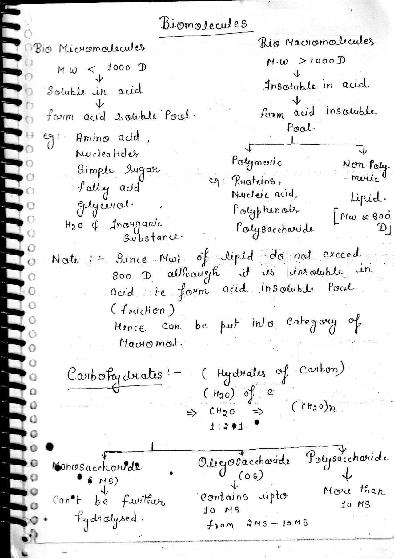 ITS About Biomolecules | Study notes Biology | Docsity