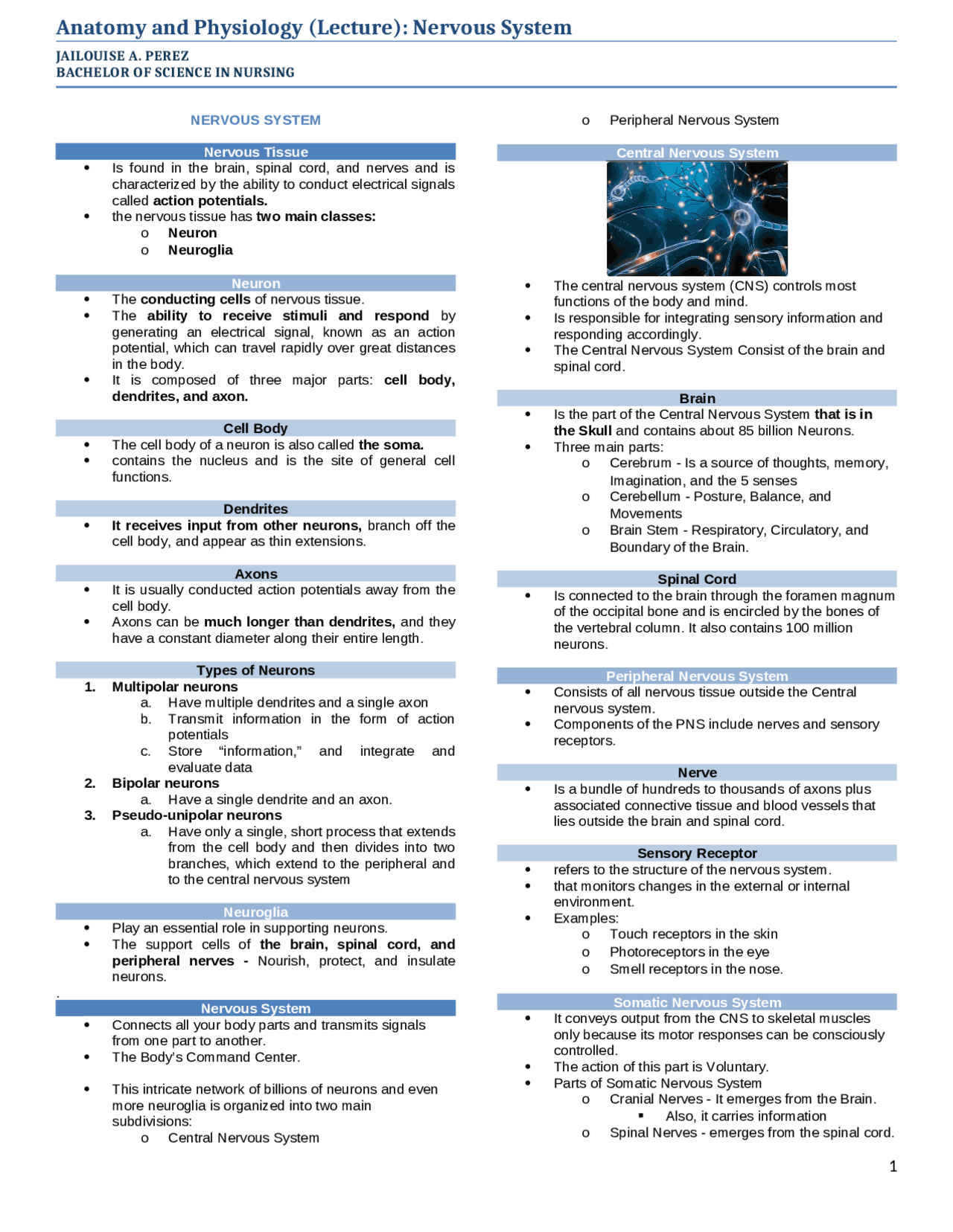 ANATOMY & PHYSIOLOGY_NERVOUS SYSTEM | Study notes Anatomy | Docsity