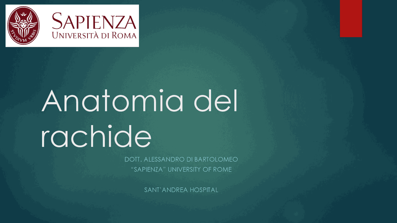 Anatomia del rachide | Schemi e mappe concettuali di Anatomia | Docsity