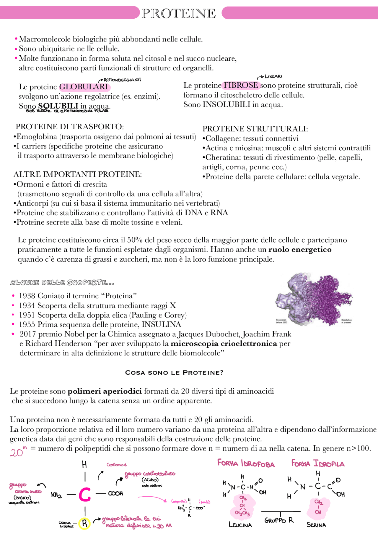 Proteine, tutto ciò da sapere | Dispense di Biochimica | Docsity