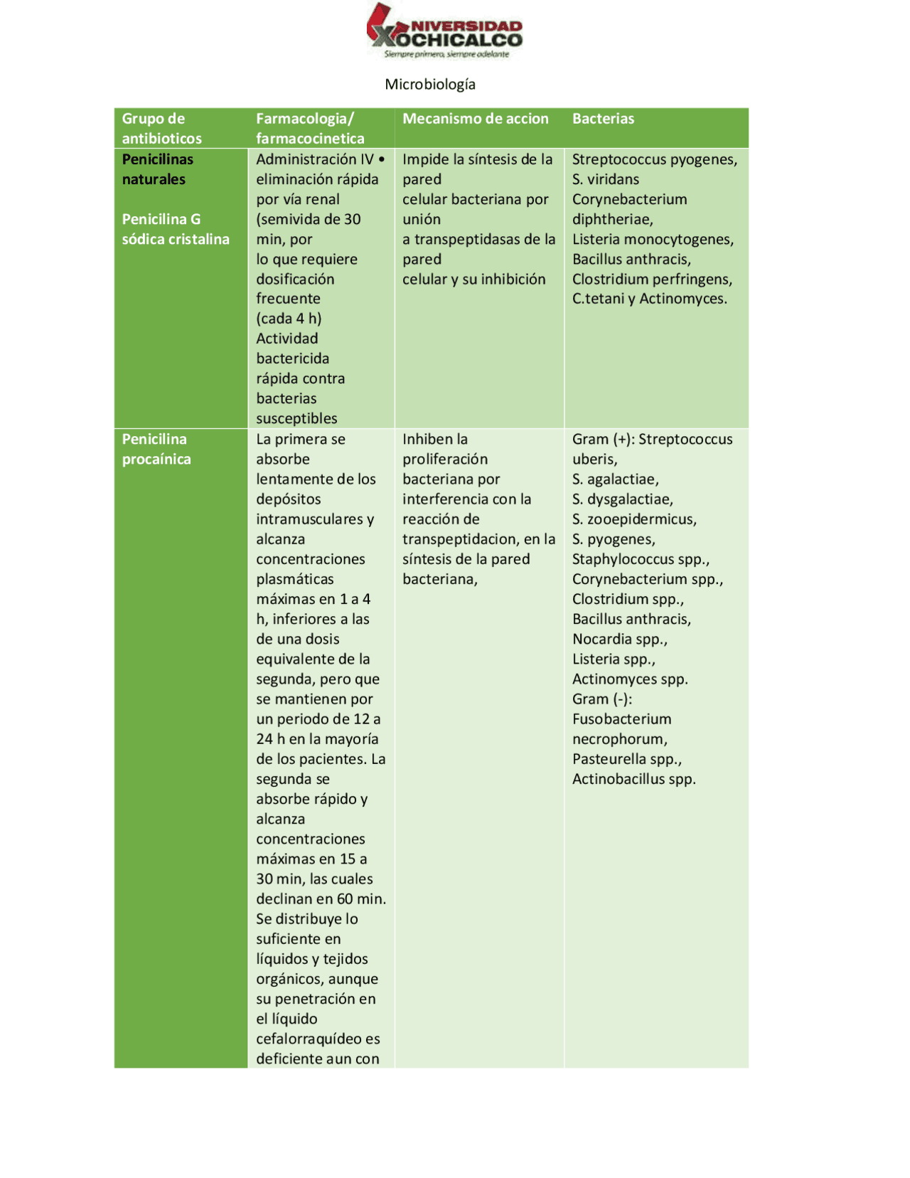 Tabla De Fármacos Y Bacterias Esquemas Y Mapas Conceptuales De