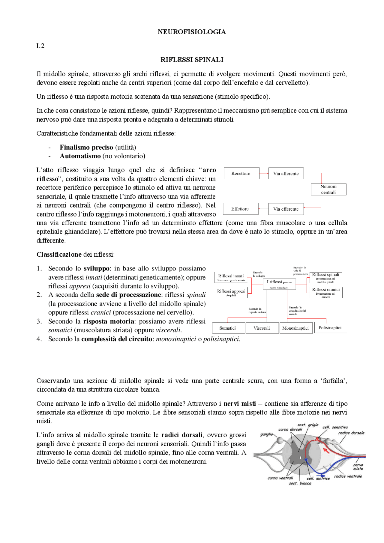 Appunti Di Neurofisiologia Completi Sbobinature Di Neurobiologia