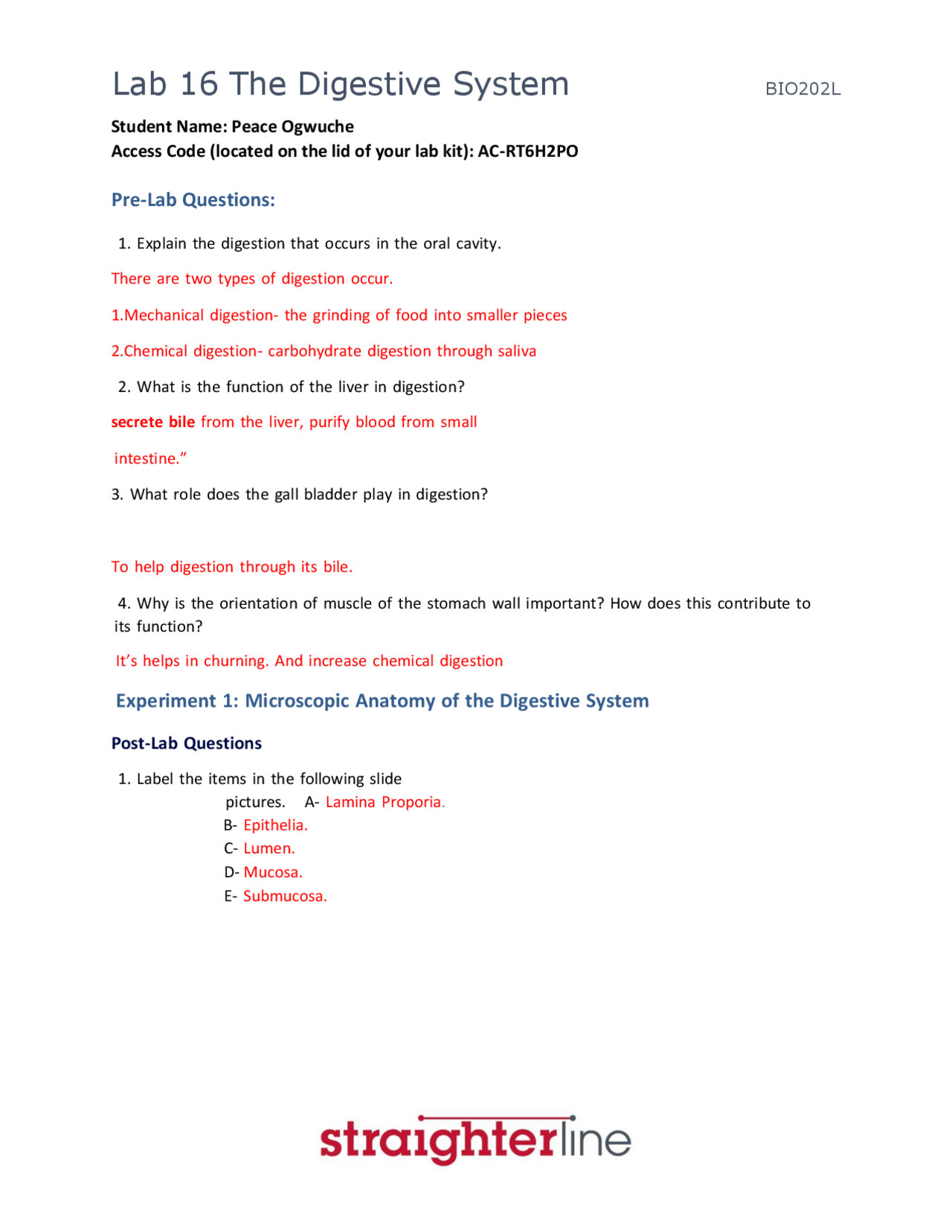 Lab 16 The Digestive System BIO202L | Exams Nursing | Docsity