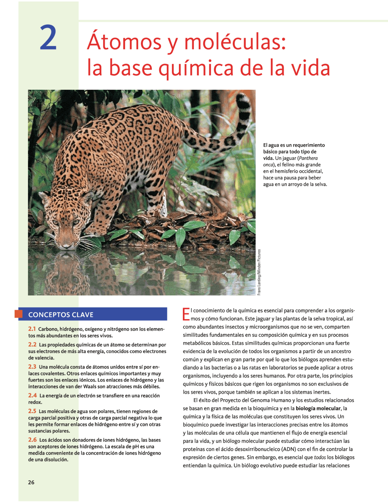 Los organismos de los seres vivos | Guide, Projets, Recherche de Chimie ...