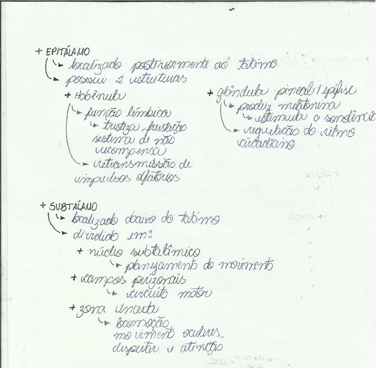 Cerebelo Parte 5 Continuação Resumos Neuroanatomia Docsity
