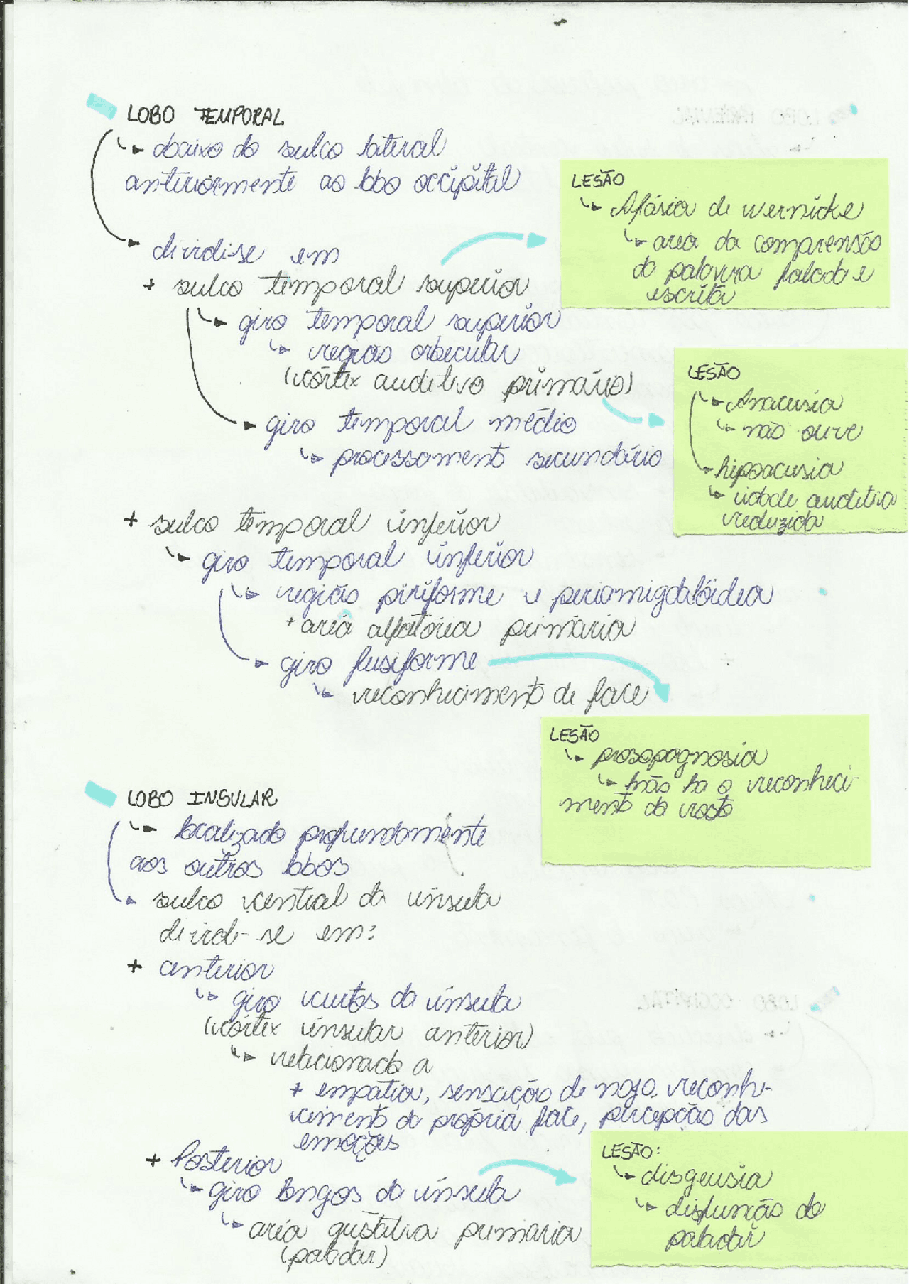 Cerebelo Parte 3 Continuação Resumos Neuroanatomia Docsity