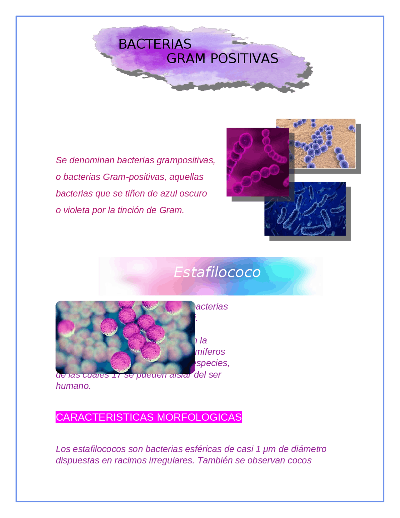 Identificación de bacterias gram positivas. | Guías, Proyectos ...