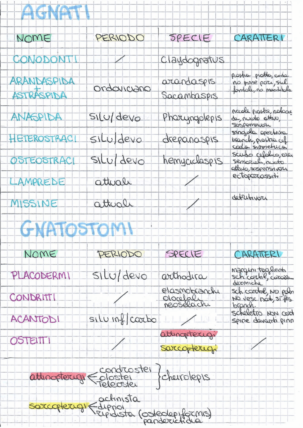 Schemi su Agnati, Gnatostomi, Anfibi e Rettili Diapsidi | Schemi e ...