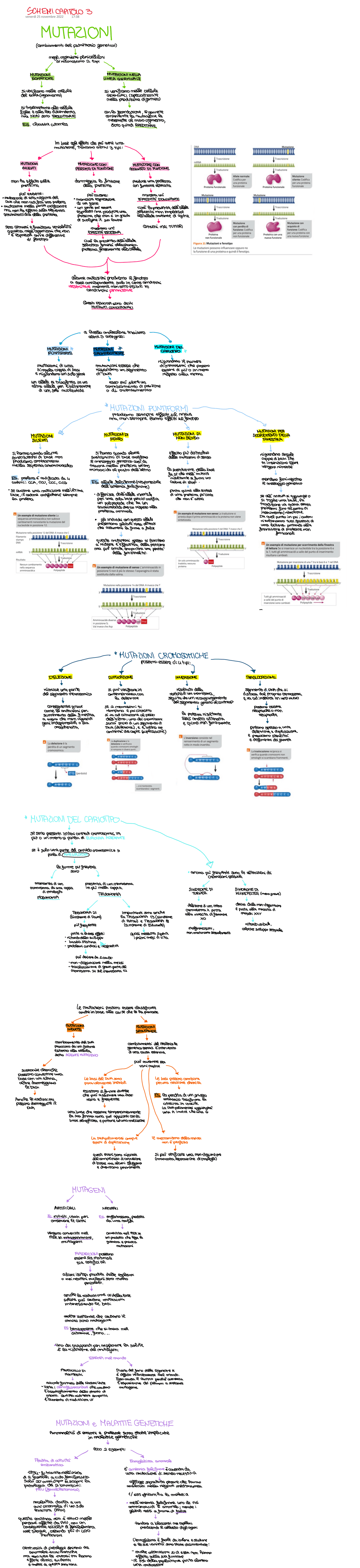 Schemi Sulle Mutazioni Schemi E Mappe Concettuali Di Biologia Docsity