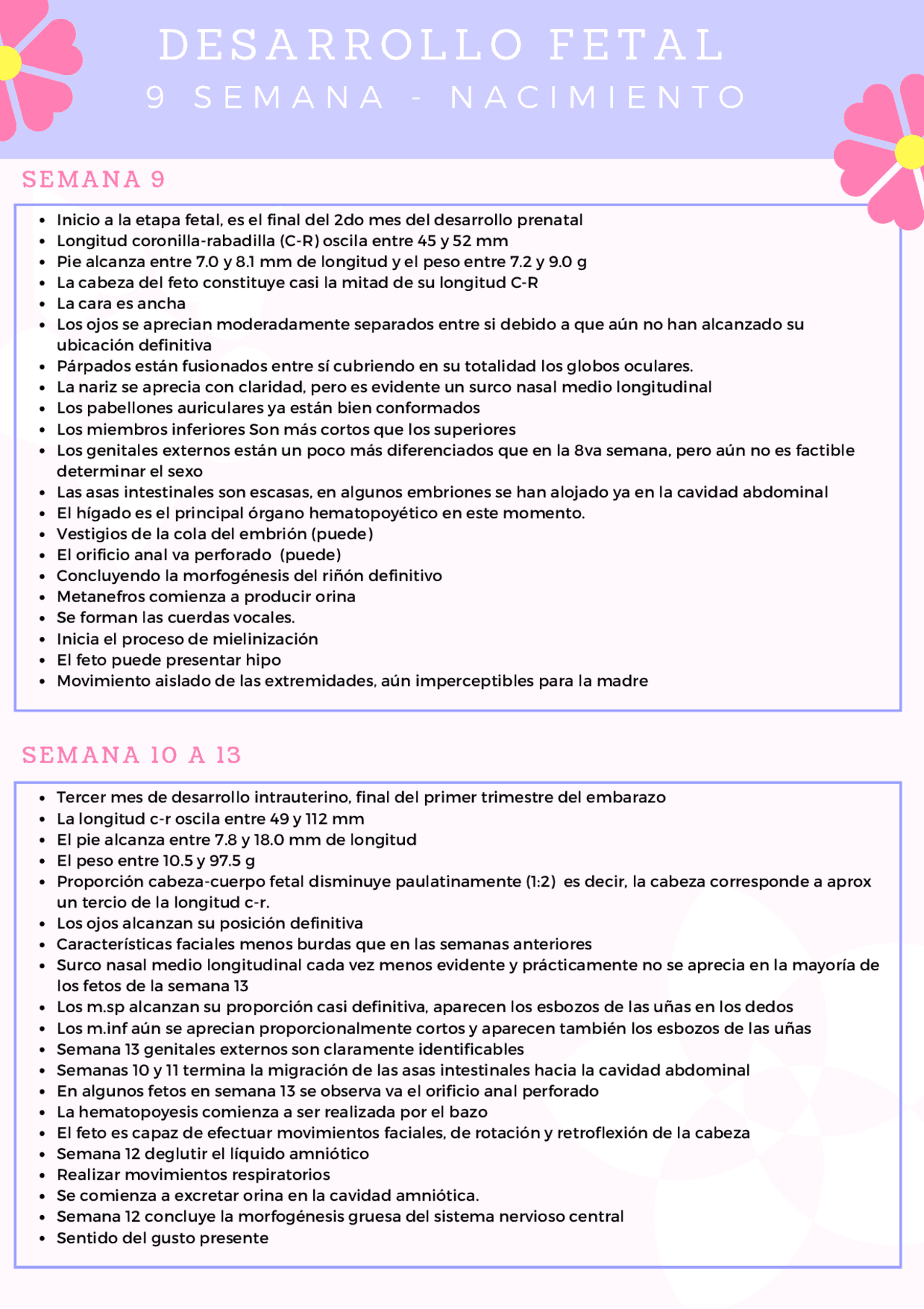 Desarrollo Fetal Desde La 9na Semana Hasta El Nacimiento Resúmenes De