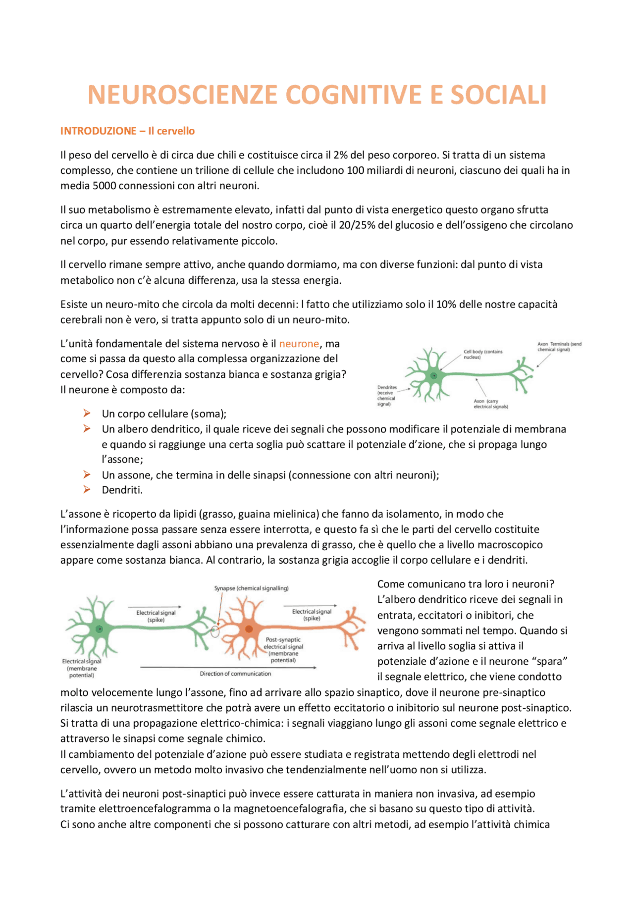 Neuroscienze Cognitive E Sociali Modulo 1 Avenanti Appunti Di