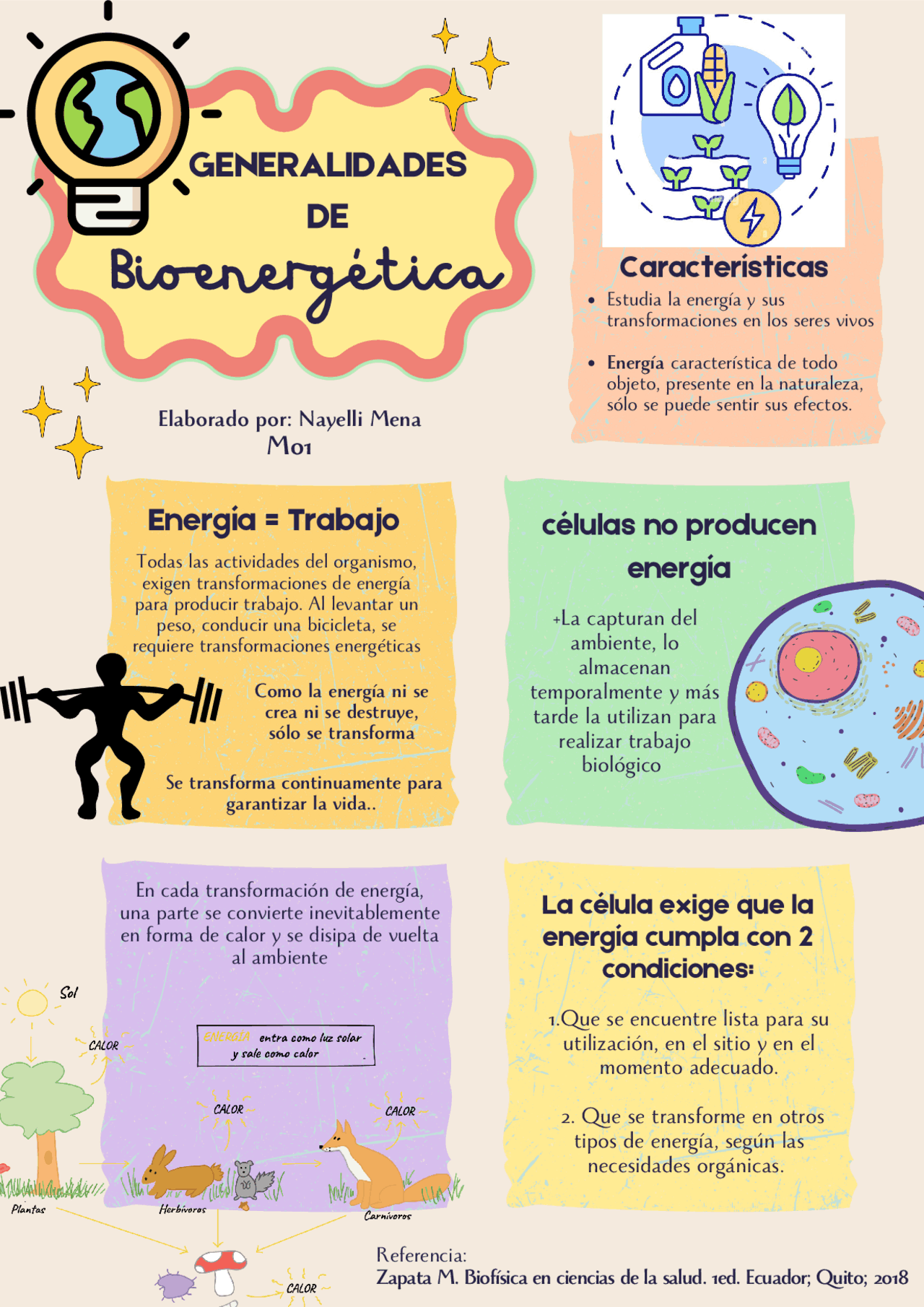 generalidades de bioenergética | Esquemas y mapas conceptuales de ...
