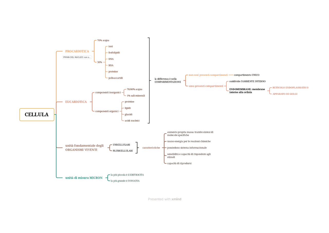 Mappe Concettuali Cellula Schemi E Mappe Concettuali Di Citologia