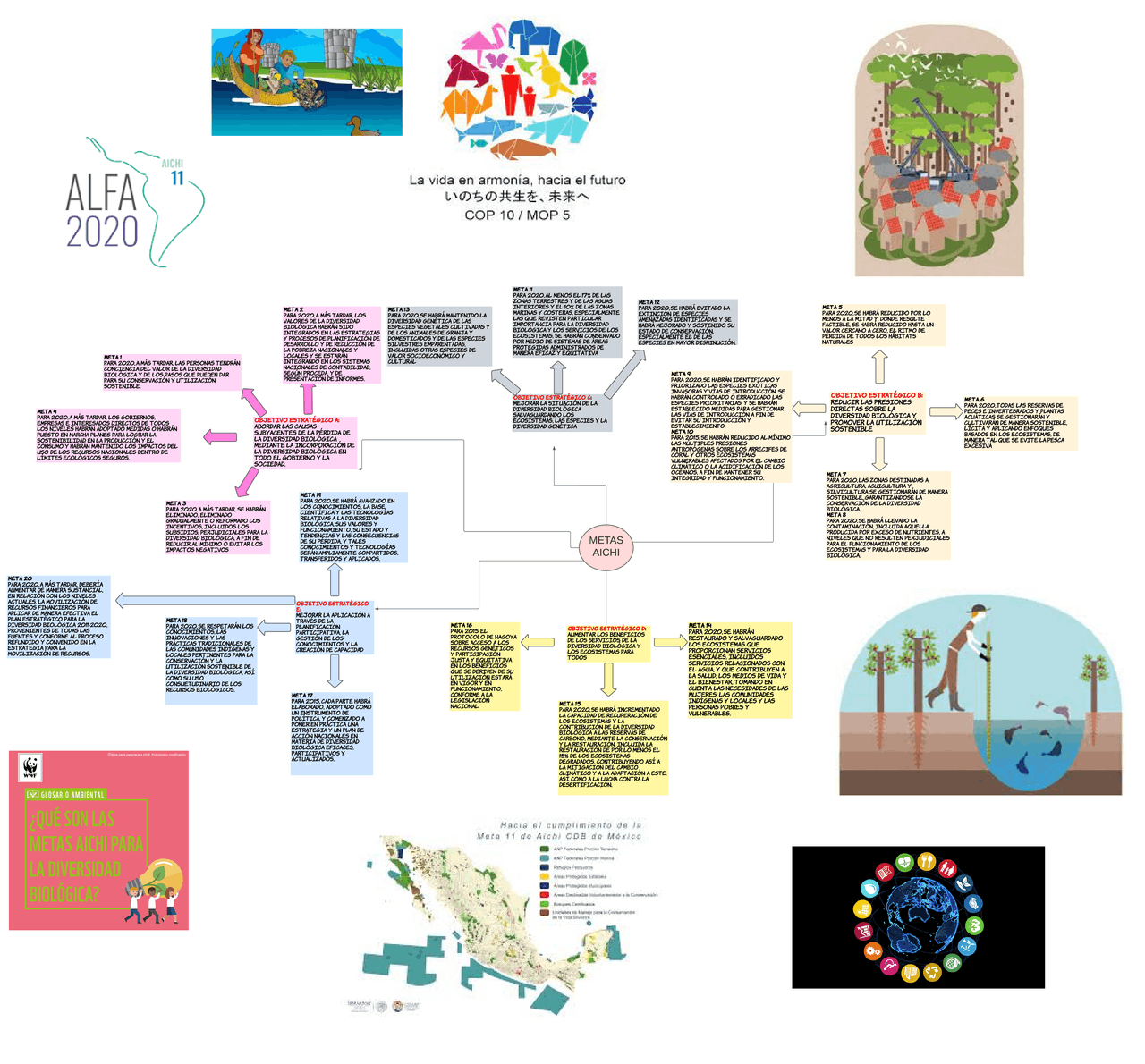 Metas Aichi para la conservación de la biodiversidad | Esquemas y mapas ...