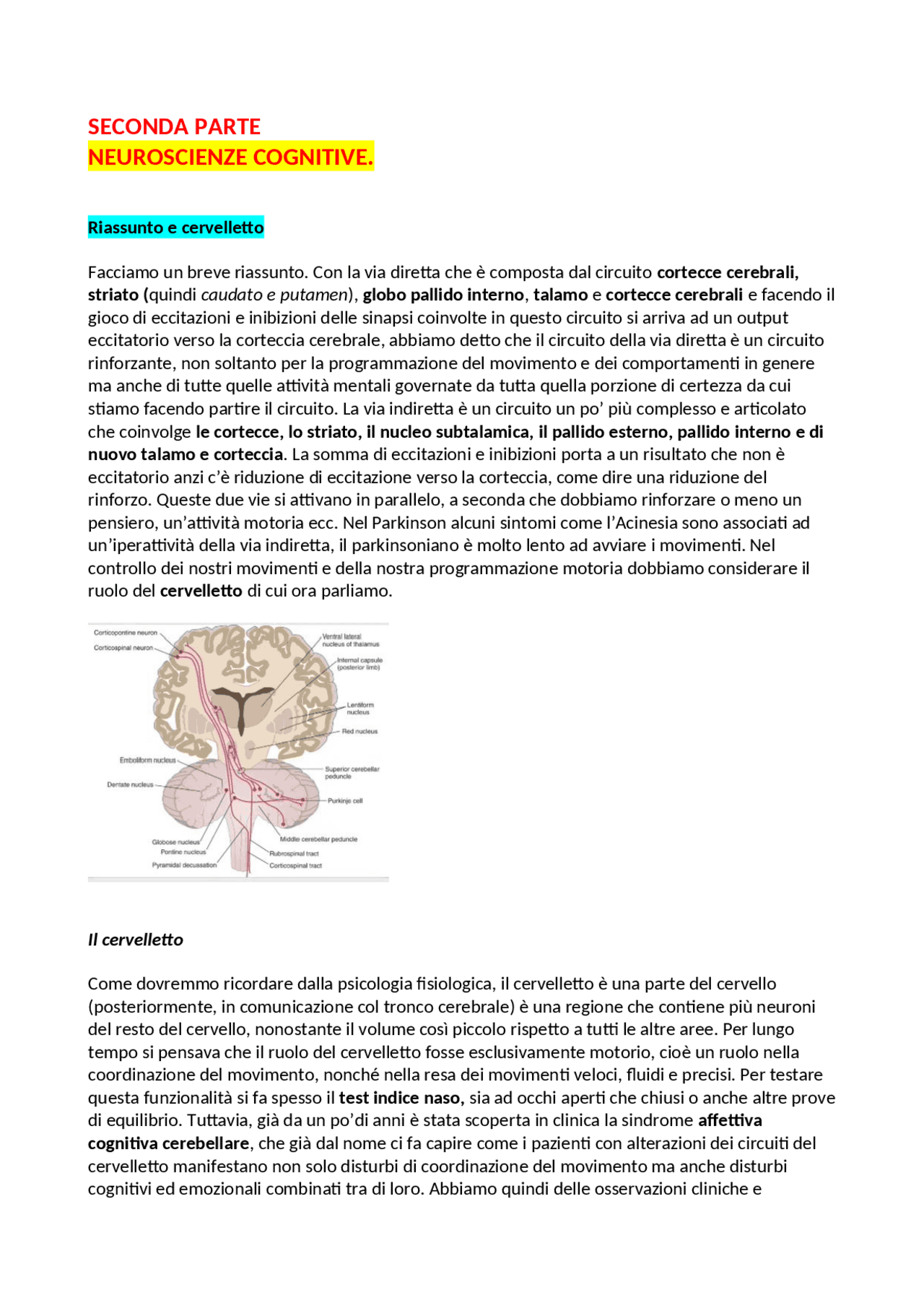 Neuroscienze Cognitive Seconda Parte Dispense Di Neuroscienze Docsity