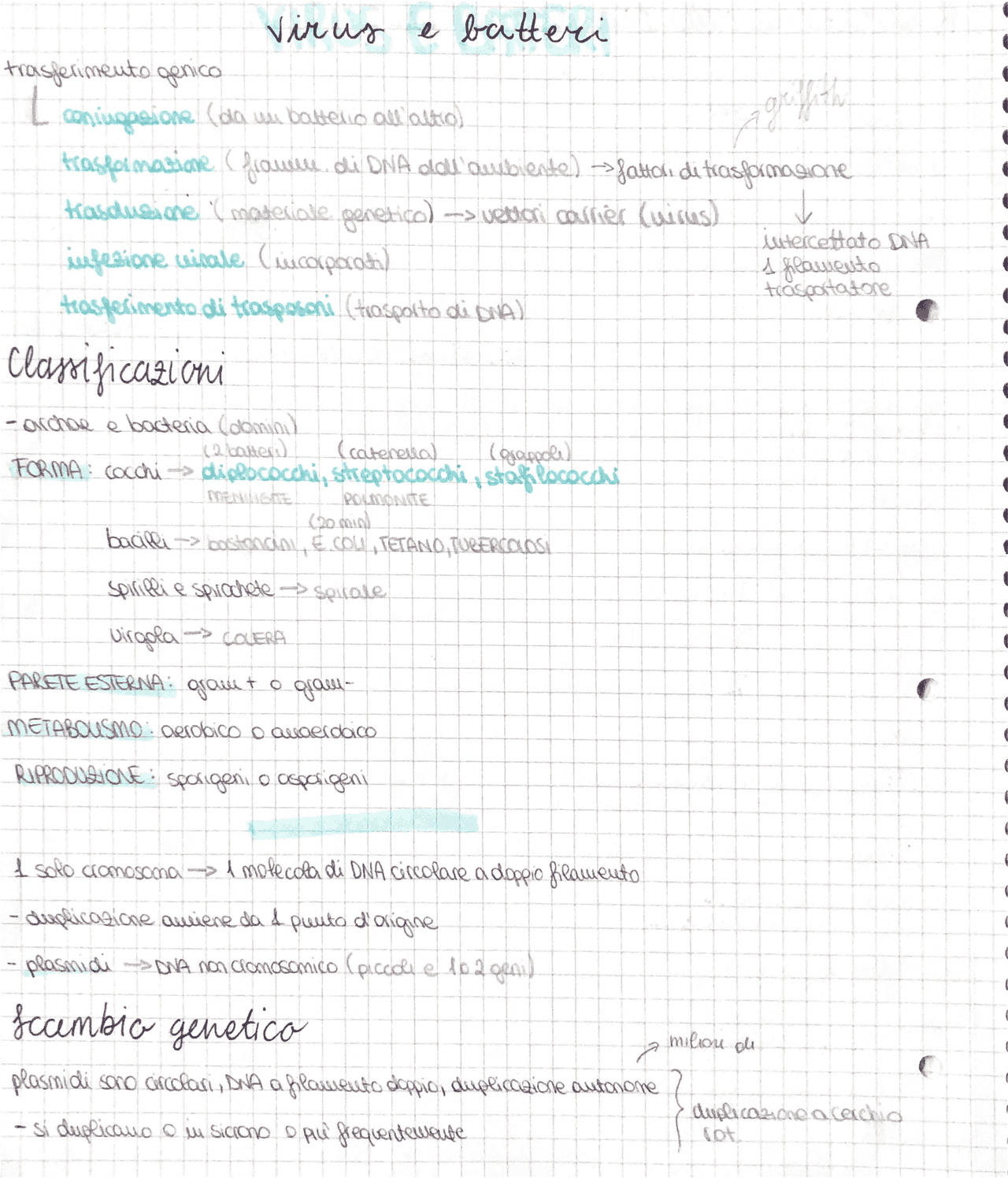 Appunti Virus E Batteri Appunti Di Biologia Docsity