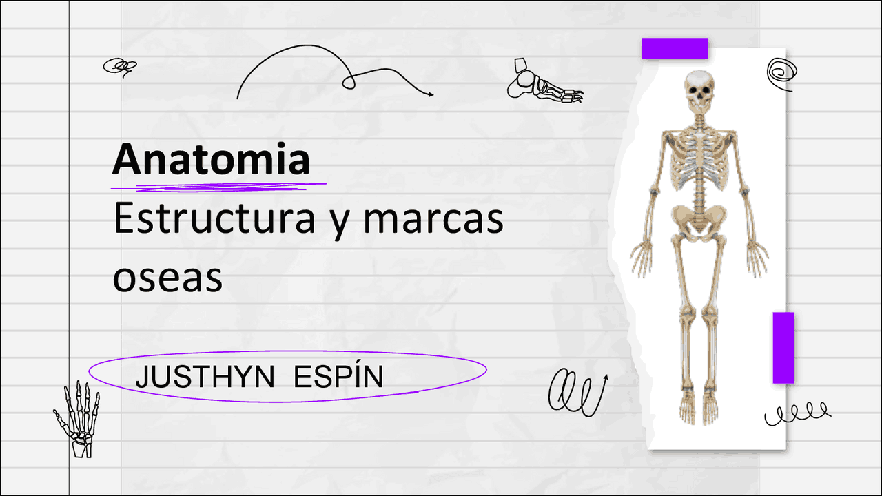 Estructuras y Marcas oseas | Diapositivas de Anatomía Aplicada | Docsity