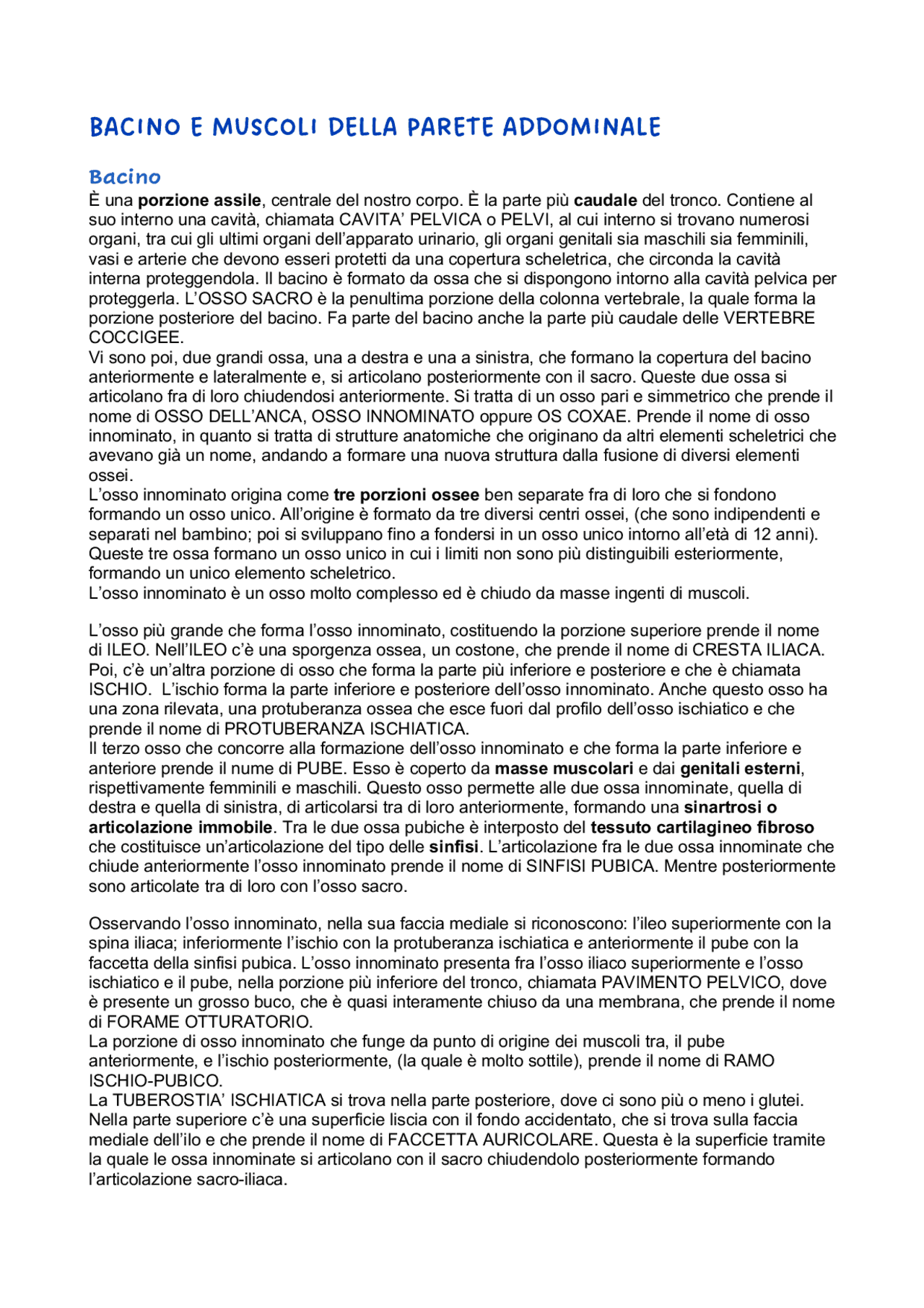 Bacino E Muscoli Della Parete Addominale Appunti Di Anatomia Docsity
