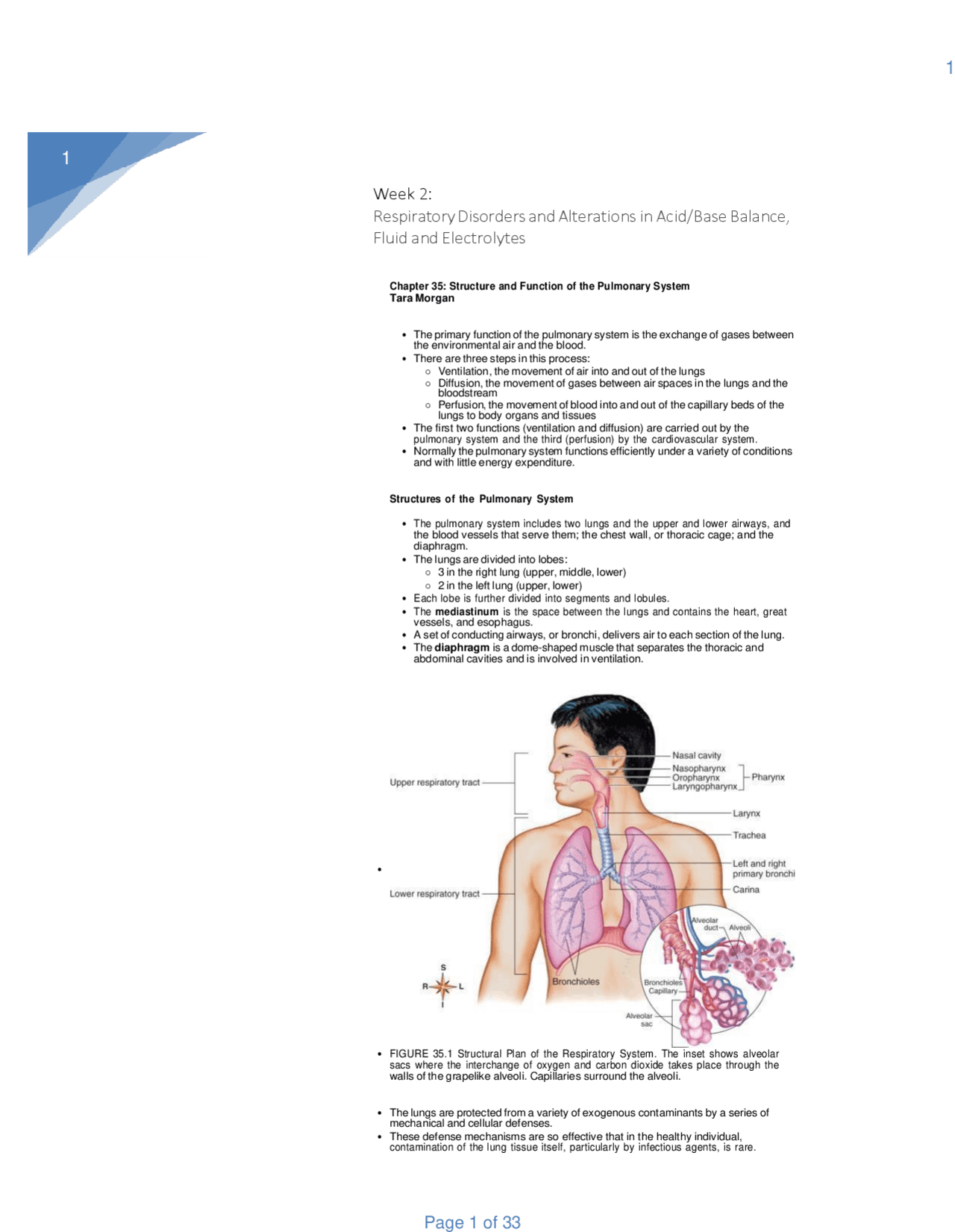 Nr_507_advanced_pathophysiology_final_exam | Exams Nursing | Docsity