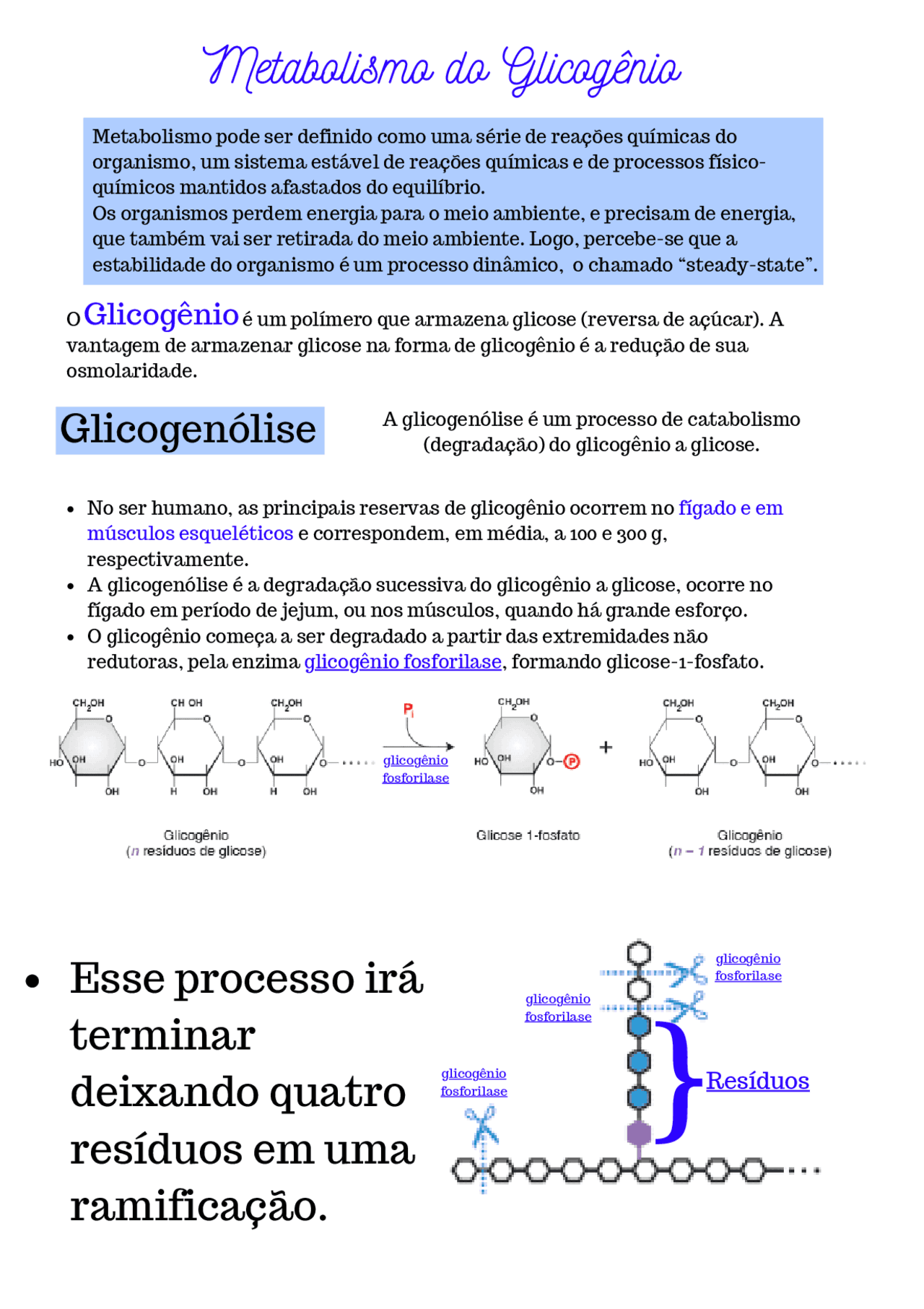 Metabolismo do Glicogênio | Resumos Biologia molecular | Docsity