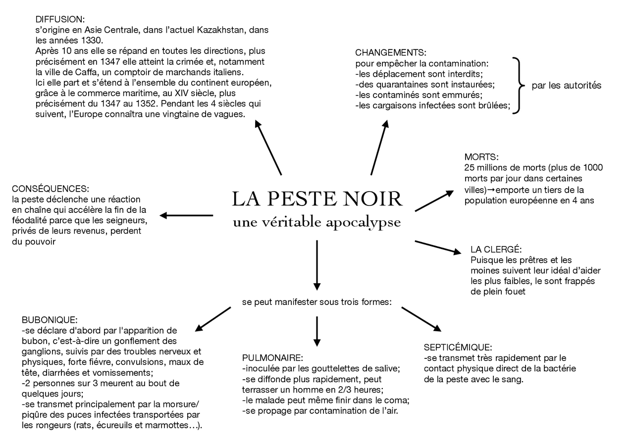 La peste expliquée en Français | Schemi e mappe concettuali di Francese ...