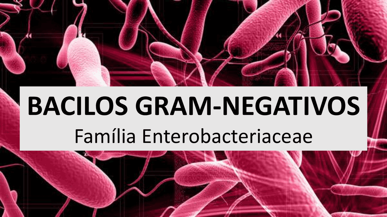Introdução aos Bacilos Gram Negativos - Família Enterobacteriaceae ...
