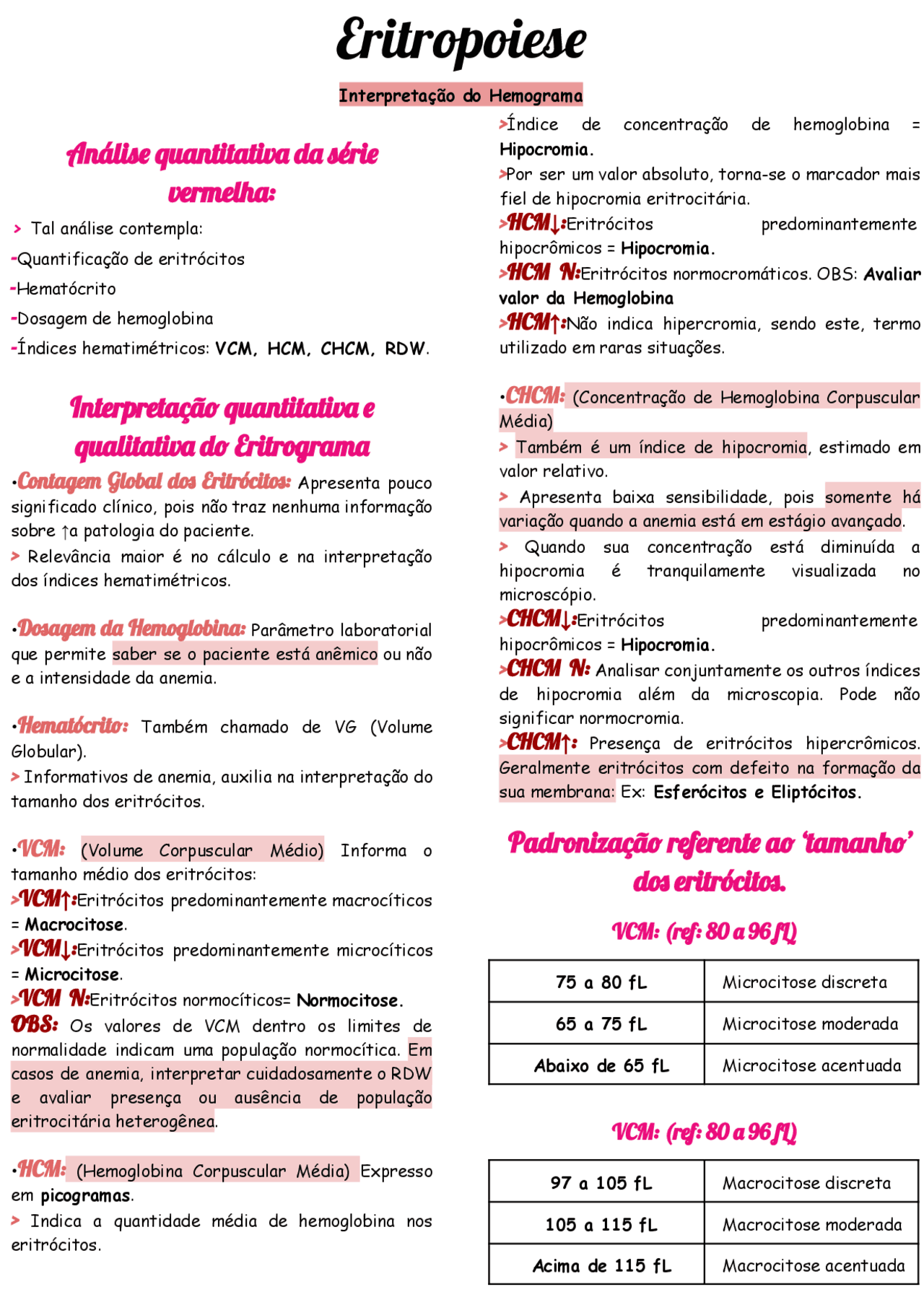 Eritropoiese |Fase analítica do Hemograma | Notas de estudo Hematologia ...