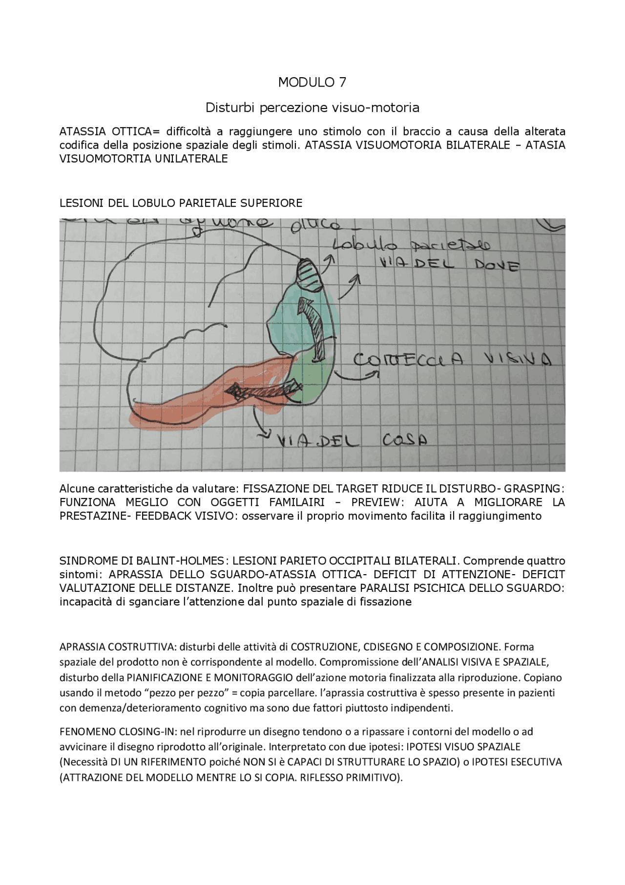 Modulo 7 Disturbi Visuomotori Schemi E Mappe Concettuali Di