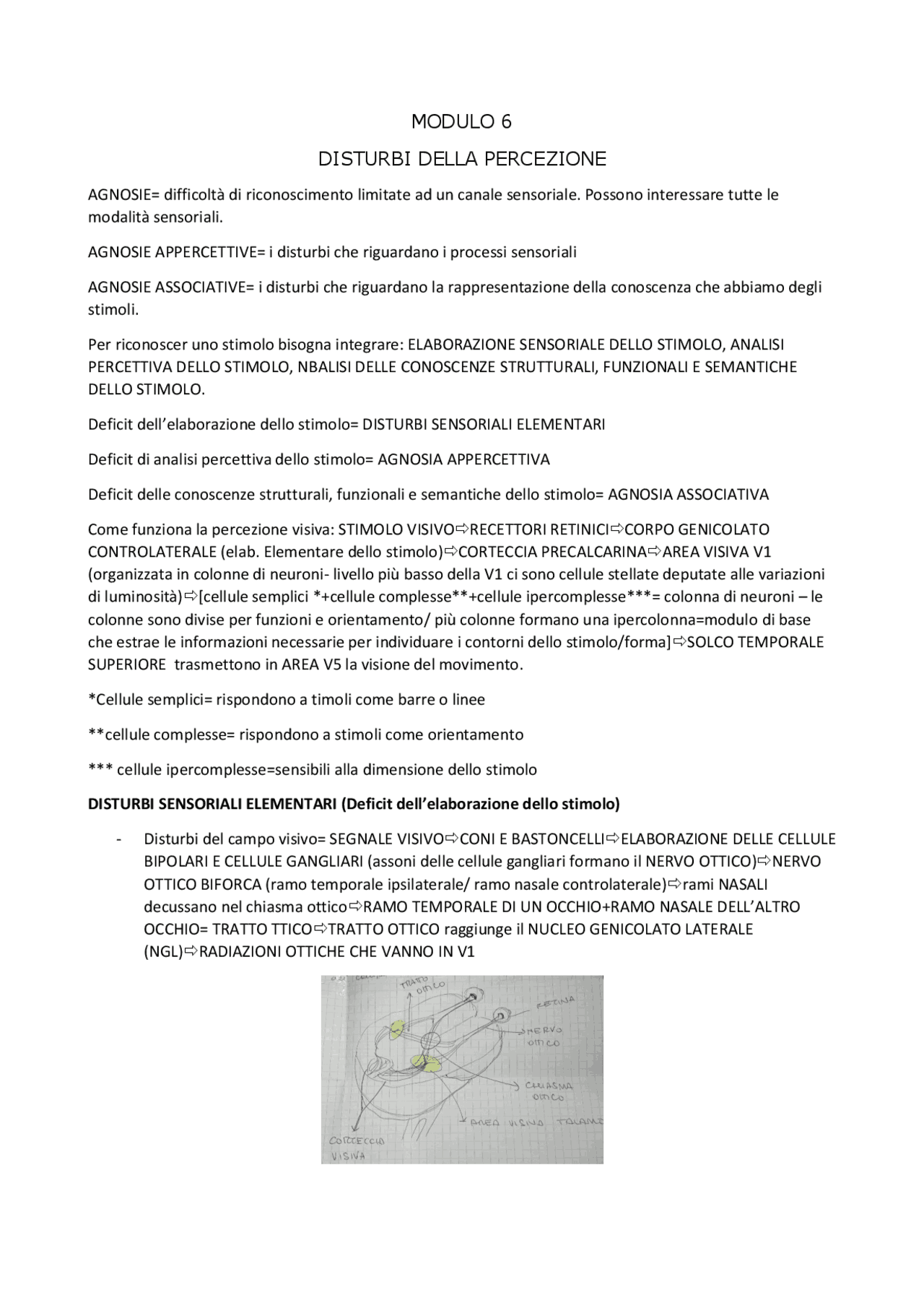 Modulo 6 Disturbi Percezione Schemi E Mappe Concettuali Di