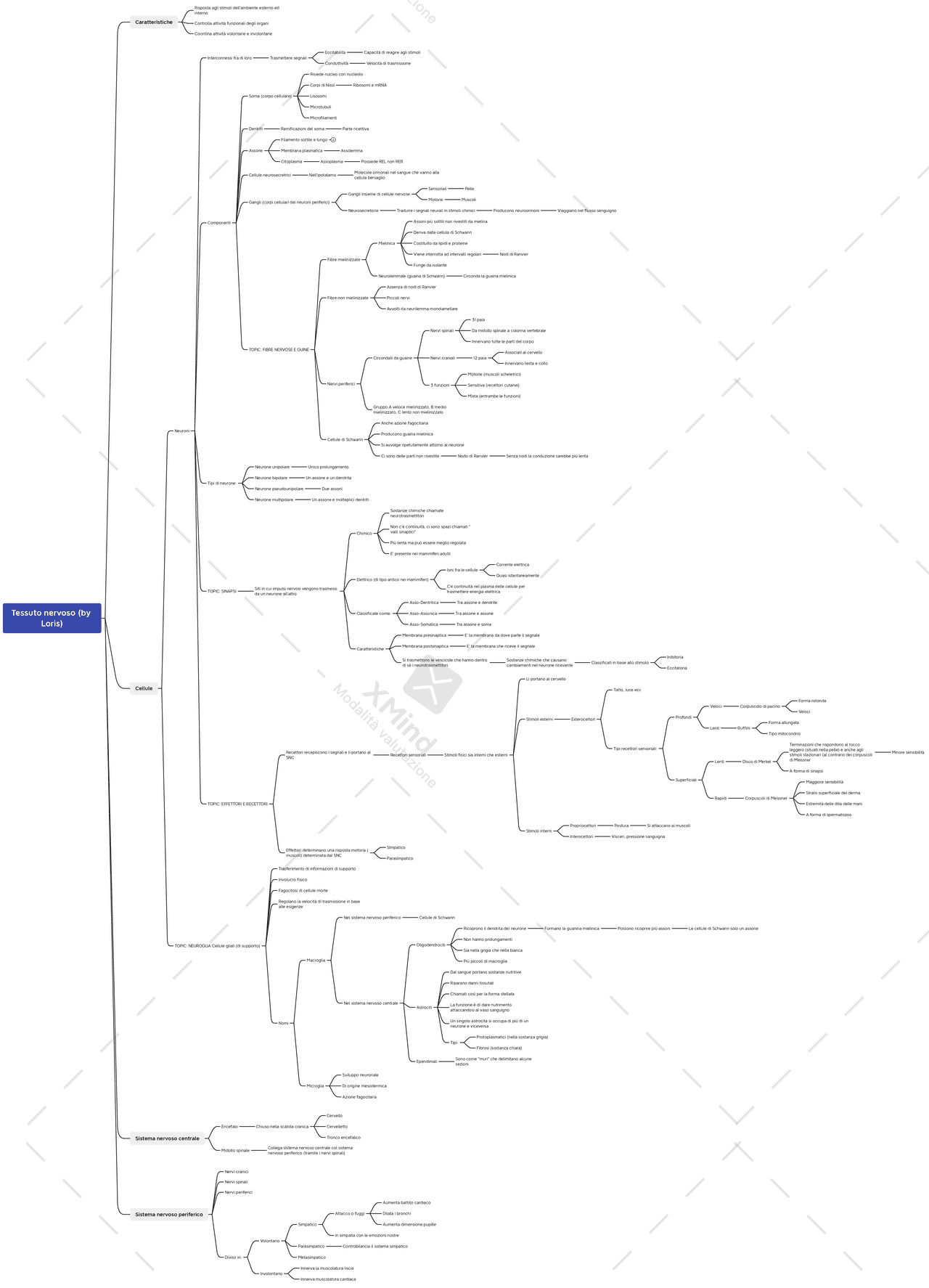 Tessuto nervoso (in italiano) | Schemes and Mind Maps Medicine | Docsity