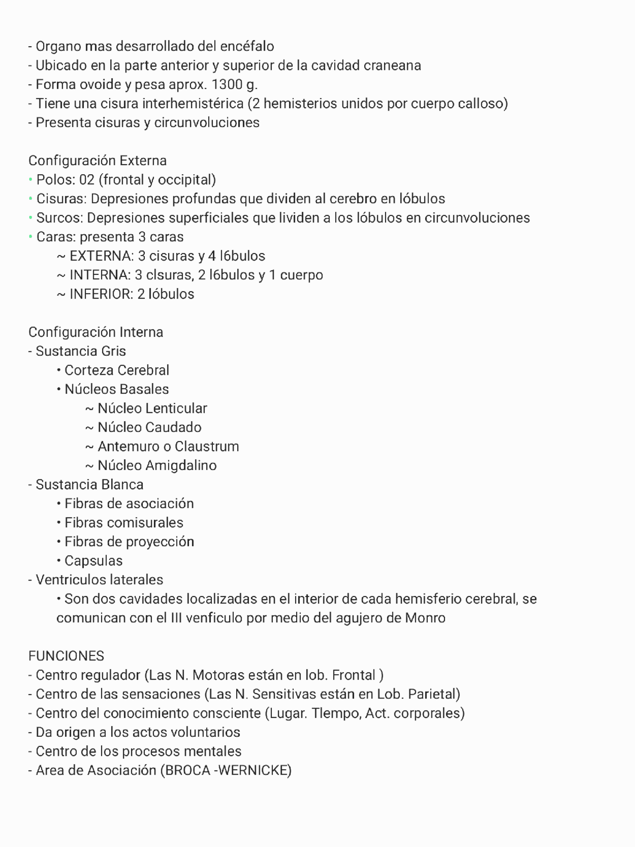 Cerebro Funciones Y Partes Apuntes De Neuroanatomía Docsity