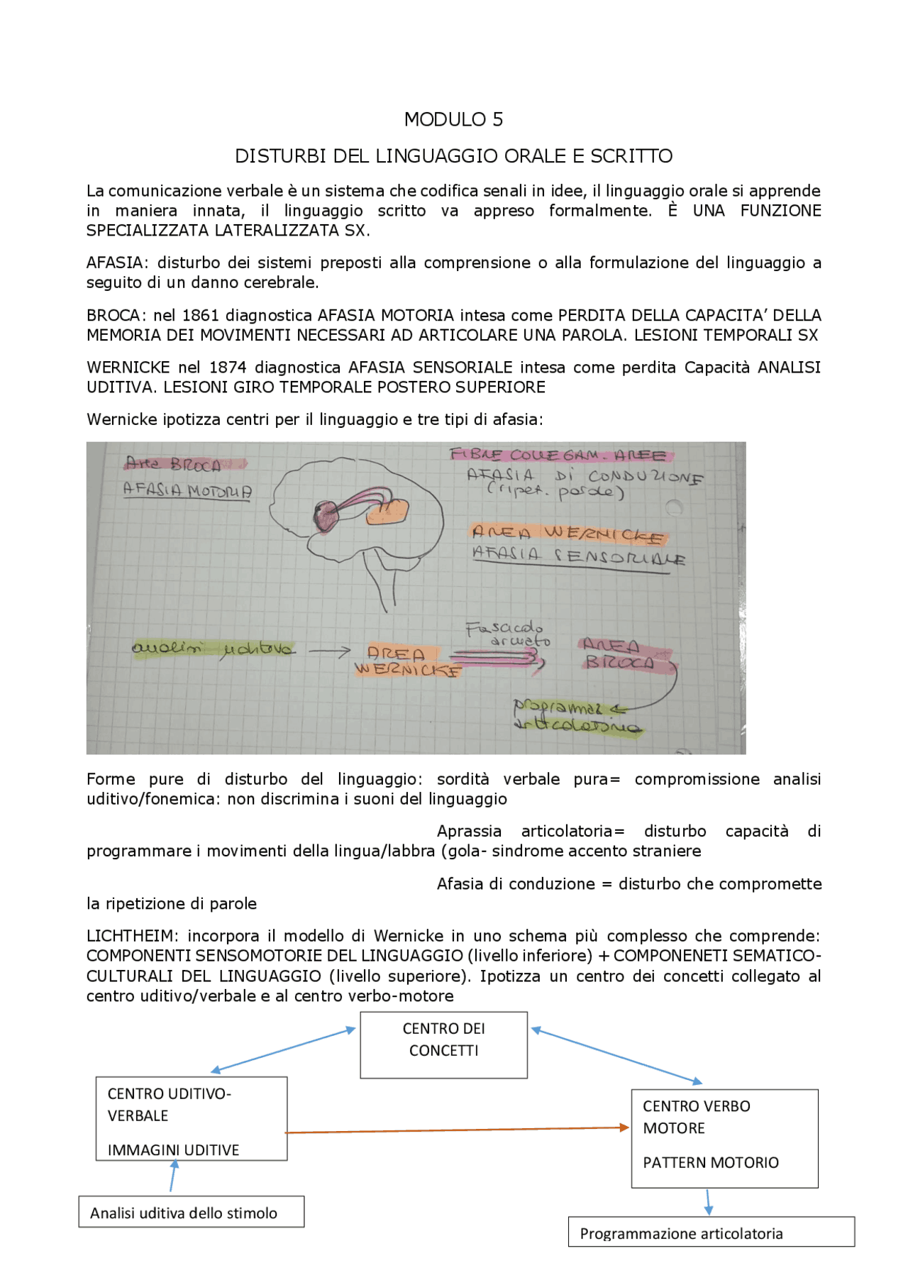 Modulo 5 Disturbi Del Linguaggio Schemi E Mappe Concettuali Di