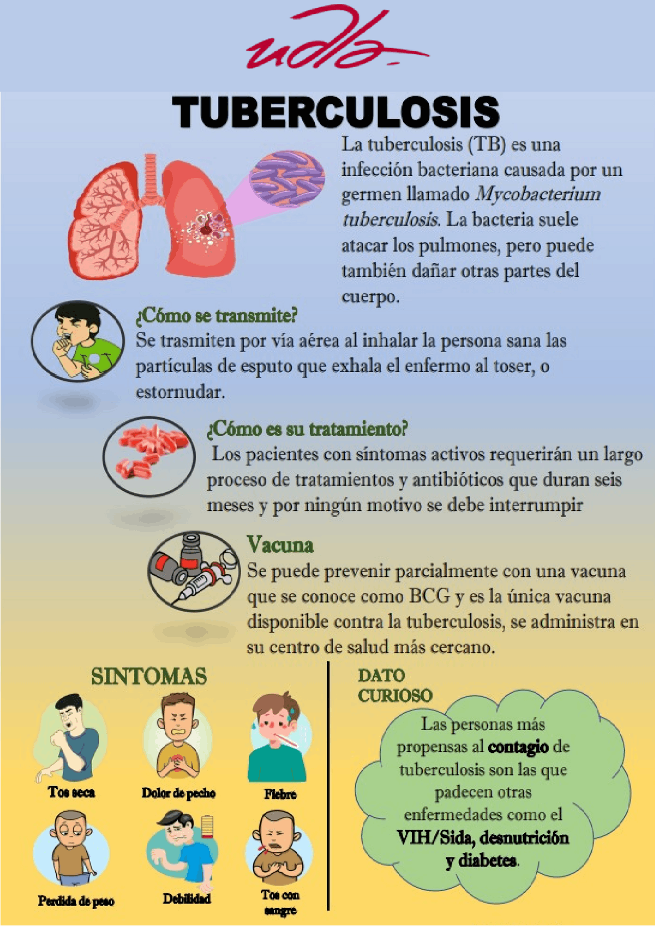 TUBERCULOSIS PREVENCION | Diapositivas de Medicina | Docsity