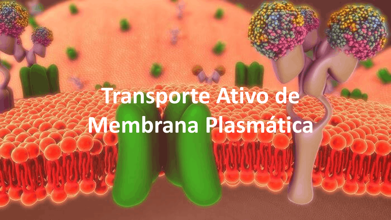 Transporte Ativo de Membrana Plasmática | Slides Fisiologia Humana ...