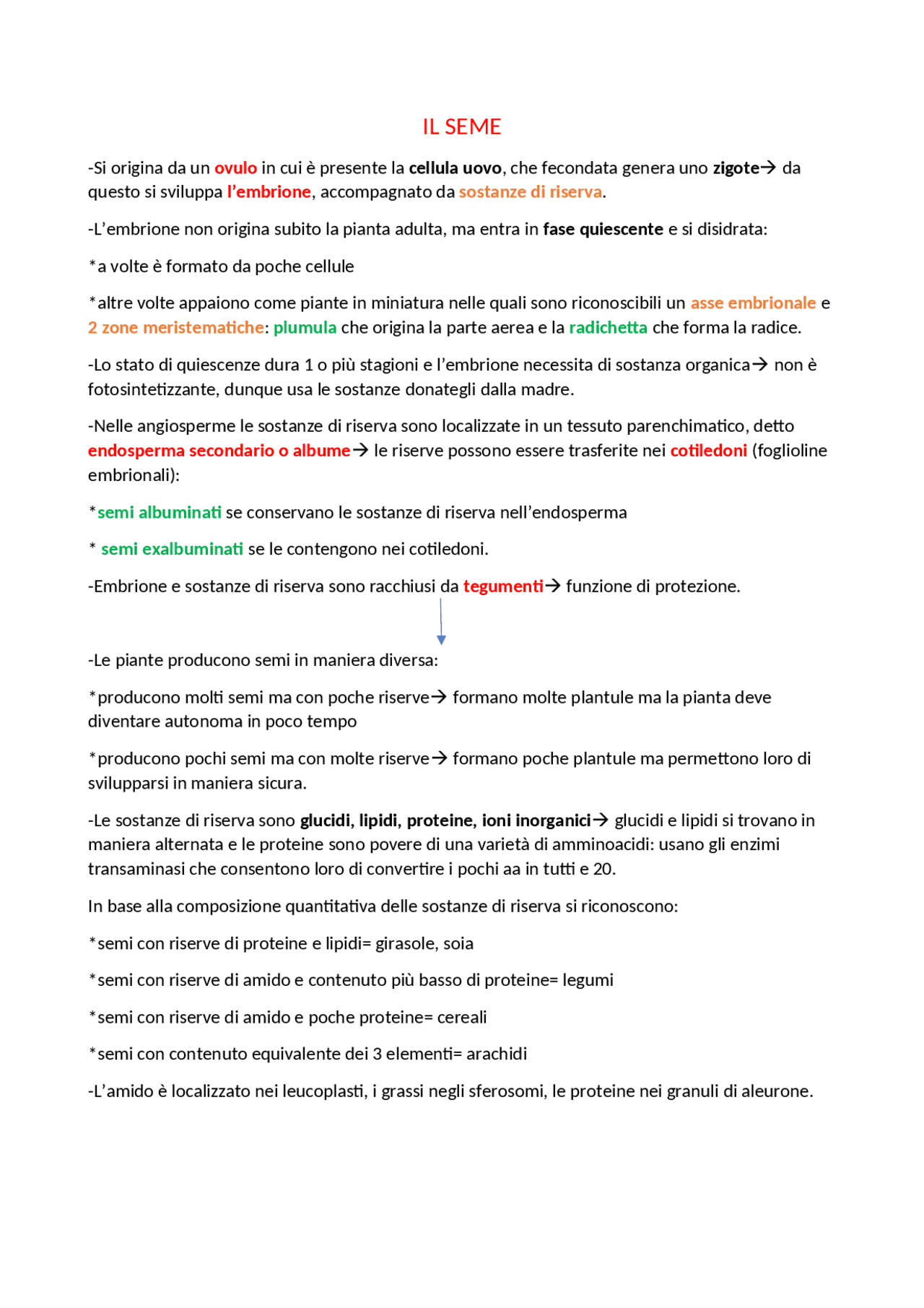 Il seme e la sua struttura | Schemi e mappe concettuali di Biologia ...