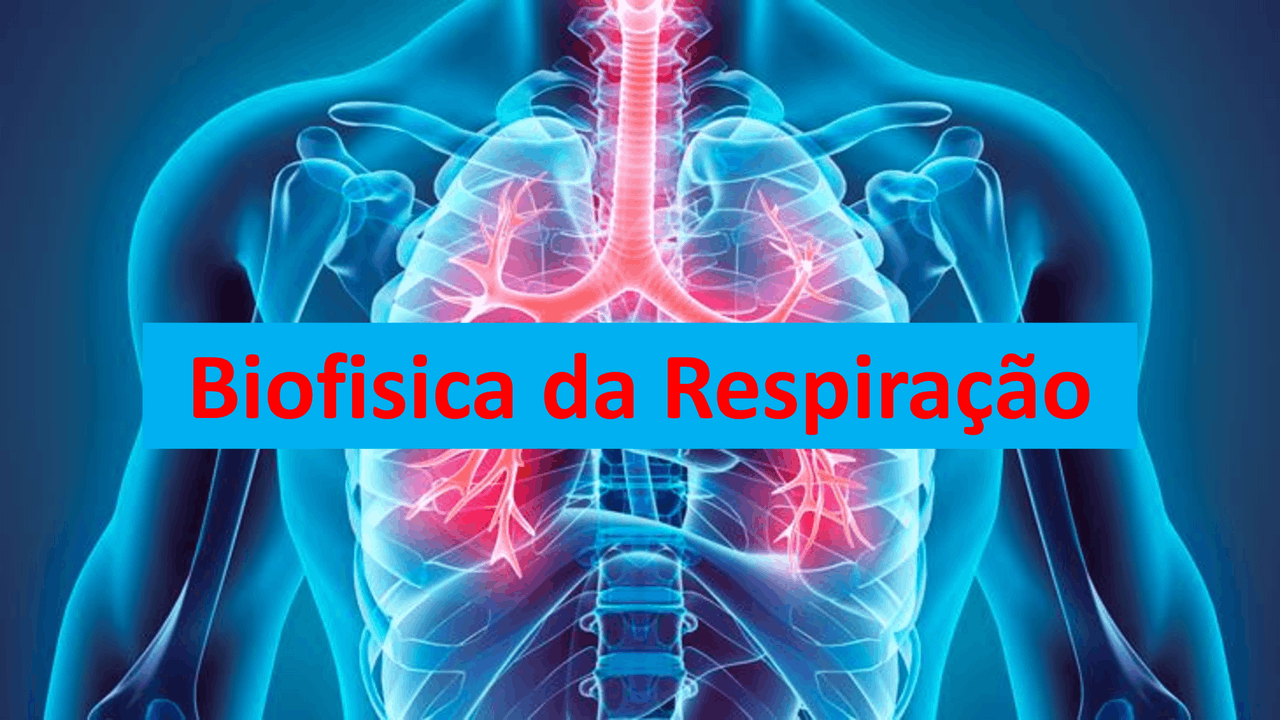 Fisiologia Da Respiração Slides Fisiologia Humana Docsity