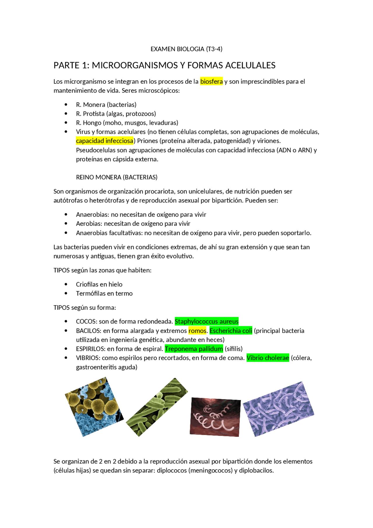 Apuntes De BiologÍa Sobre Microorganismos T3 Apuntes De Biología
