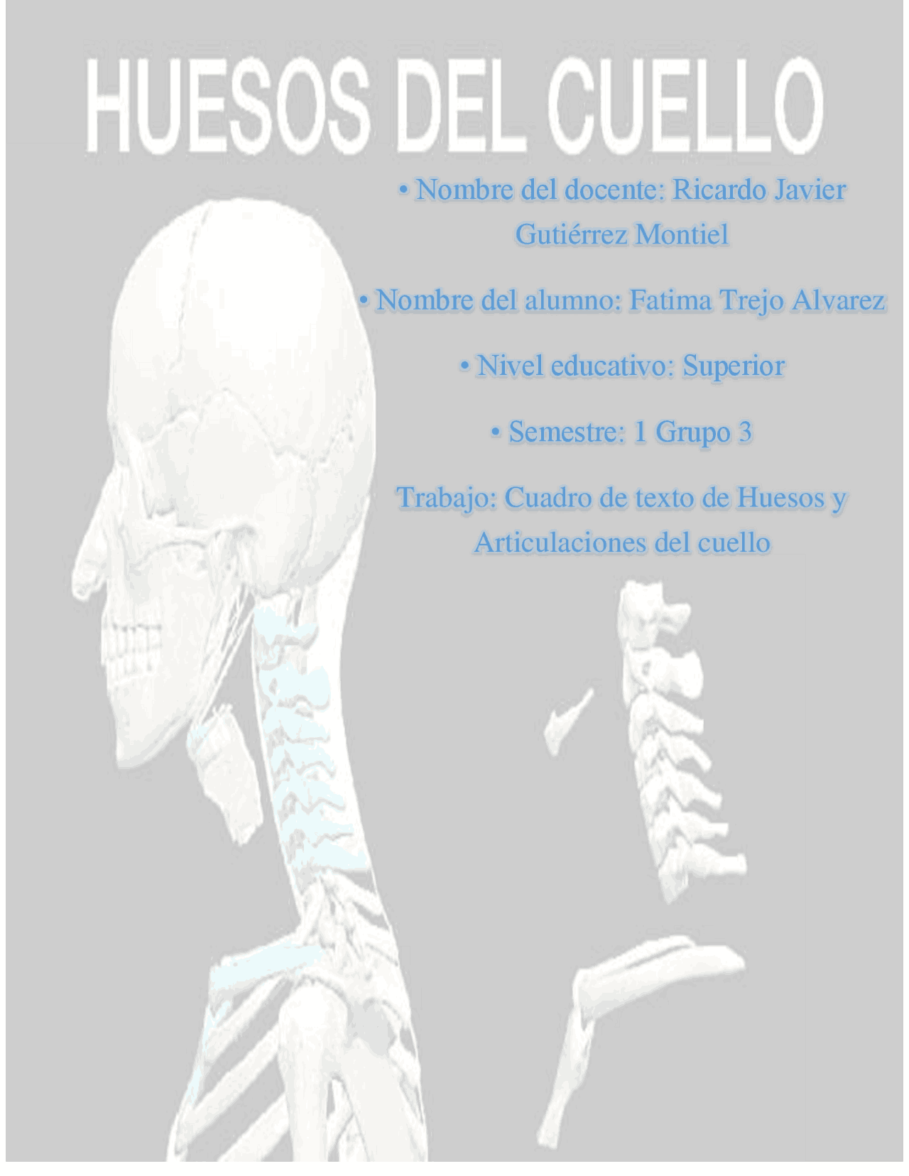 Huesos Del Cuello Cuadro Monografías Ensayos De Anatomía Docsity