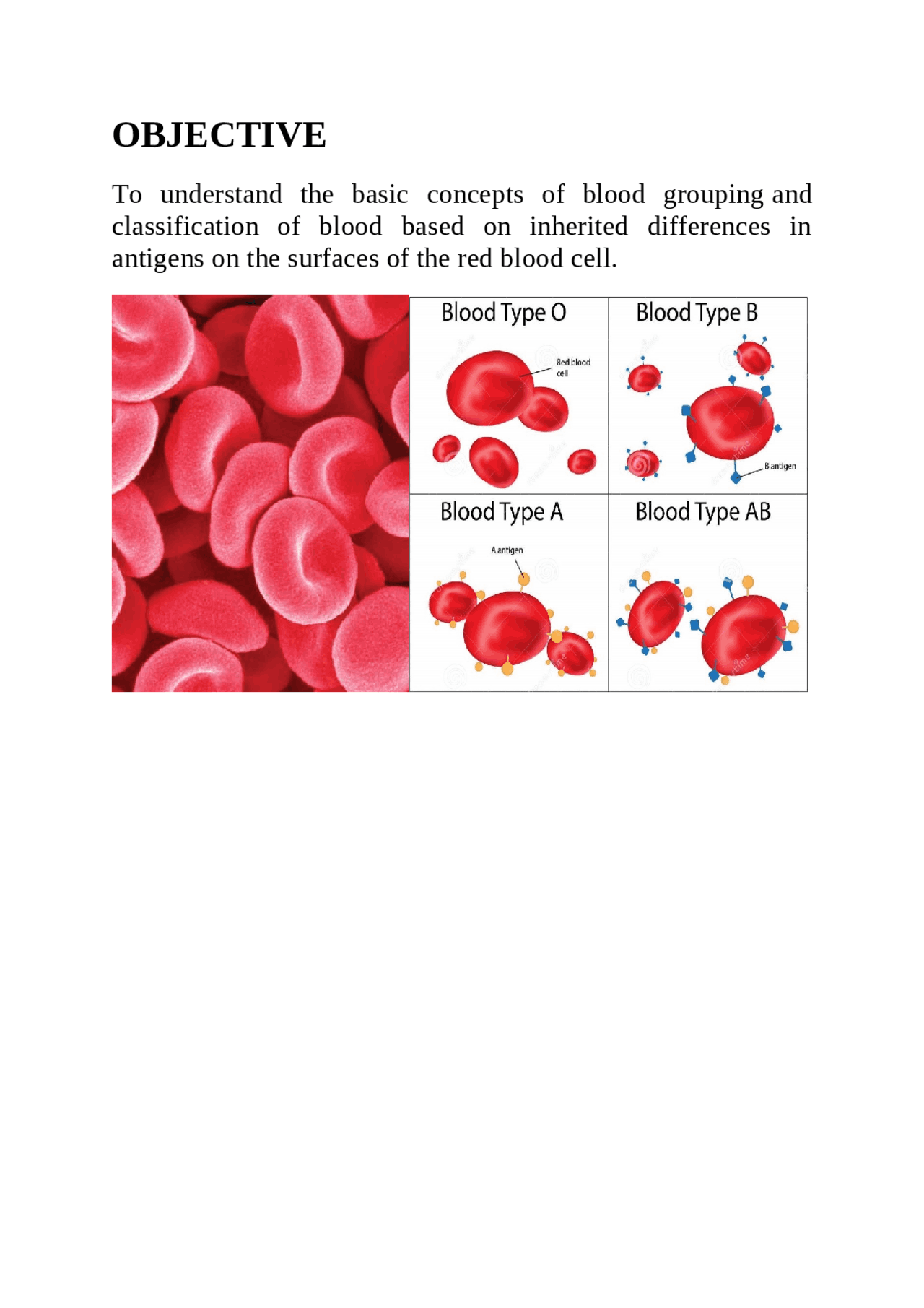 Abo_blood_grouping project | High school final essays Biology | Docsity