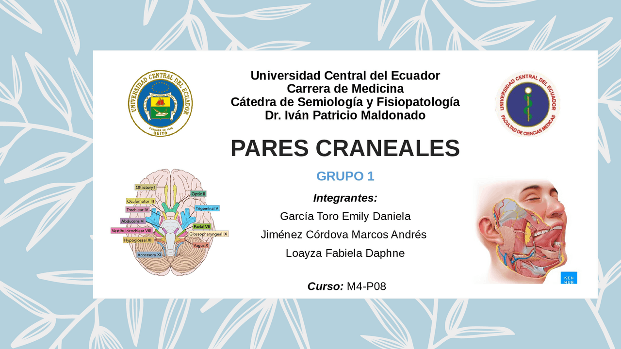 Pares Craneales Xi Y Xiidiapositivas Diapositivas De Semiología