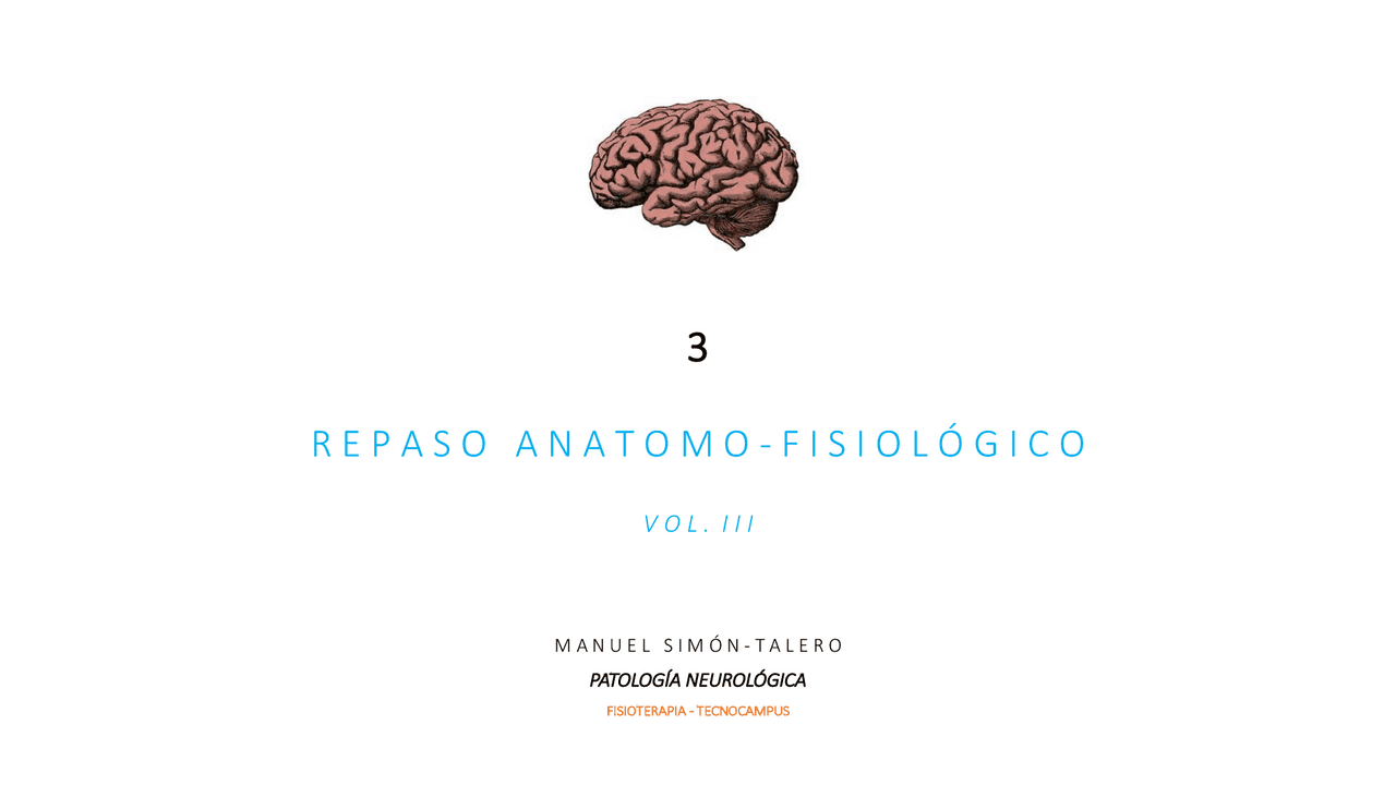 Repaso Del Sistema Nervioso 3 Apuntes De Neurología Docsity