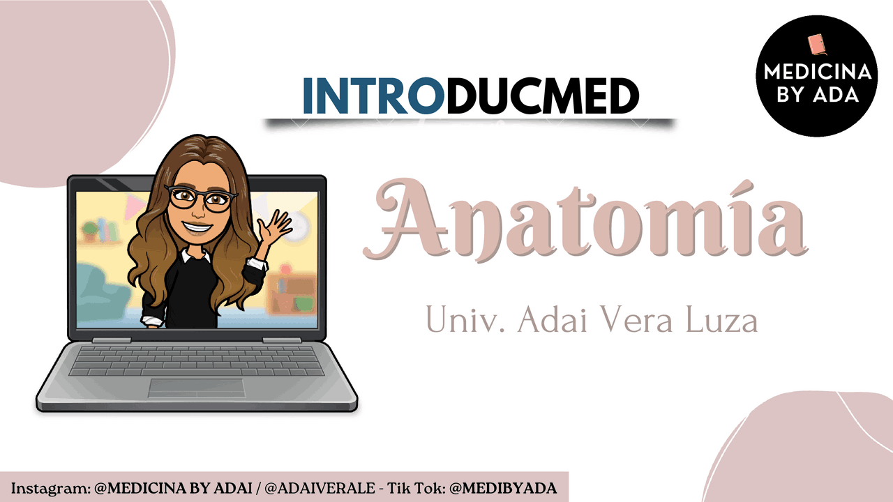 Generalidad De Anatomia 1 Diapositivas De Anatomía Aplicada Docsity